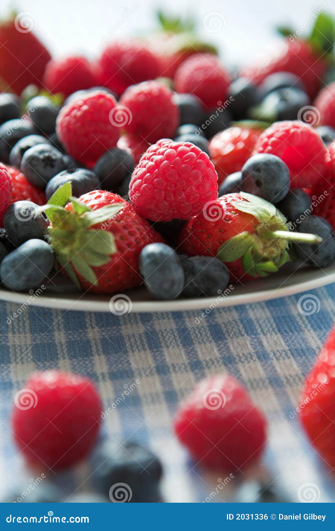 Fresh berry goodness stock photo. Image of flavor, black - 2031336