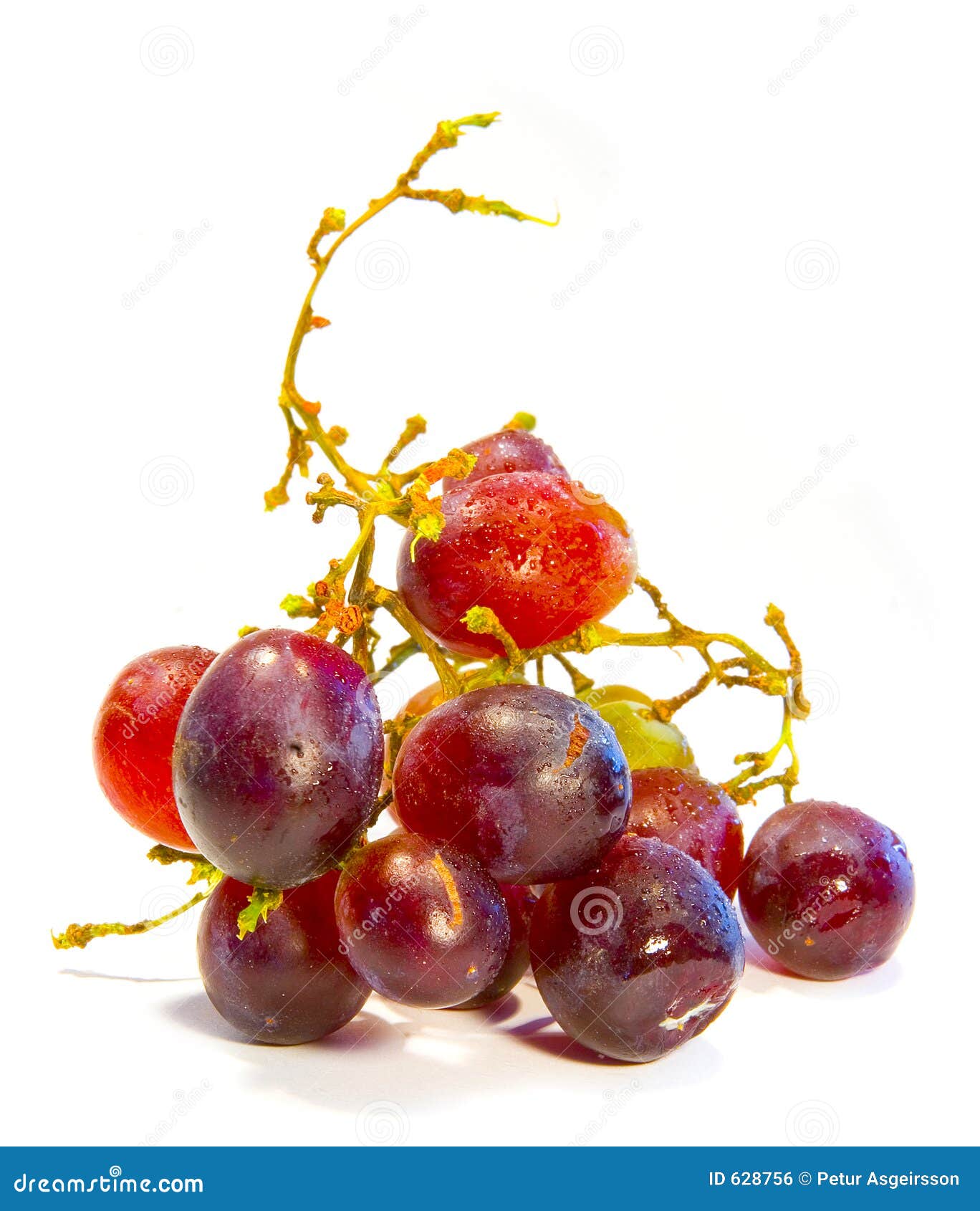 Fresh Berrys Picture. Image: 628756