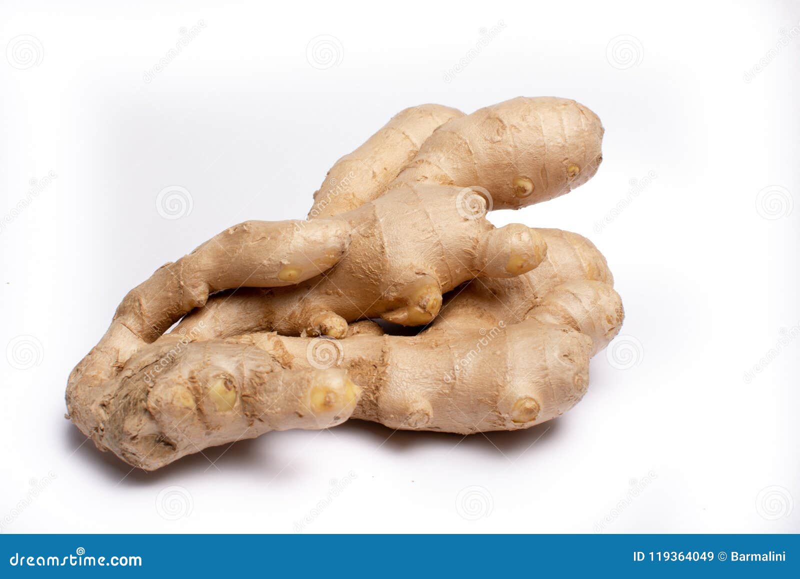 Fresh Big Ginger Root Close Up Copy Space Isolated on White Back Stock ...