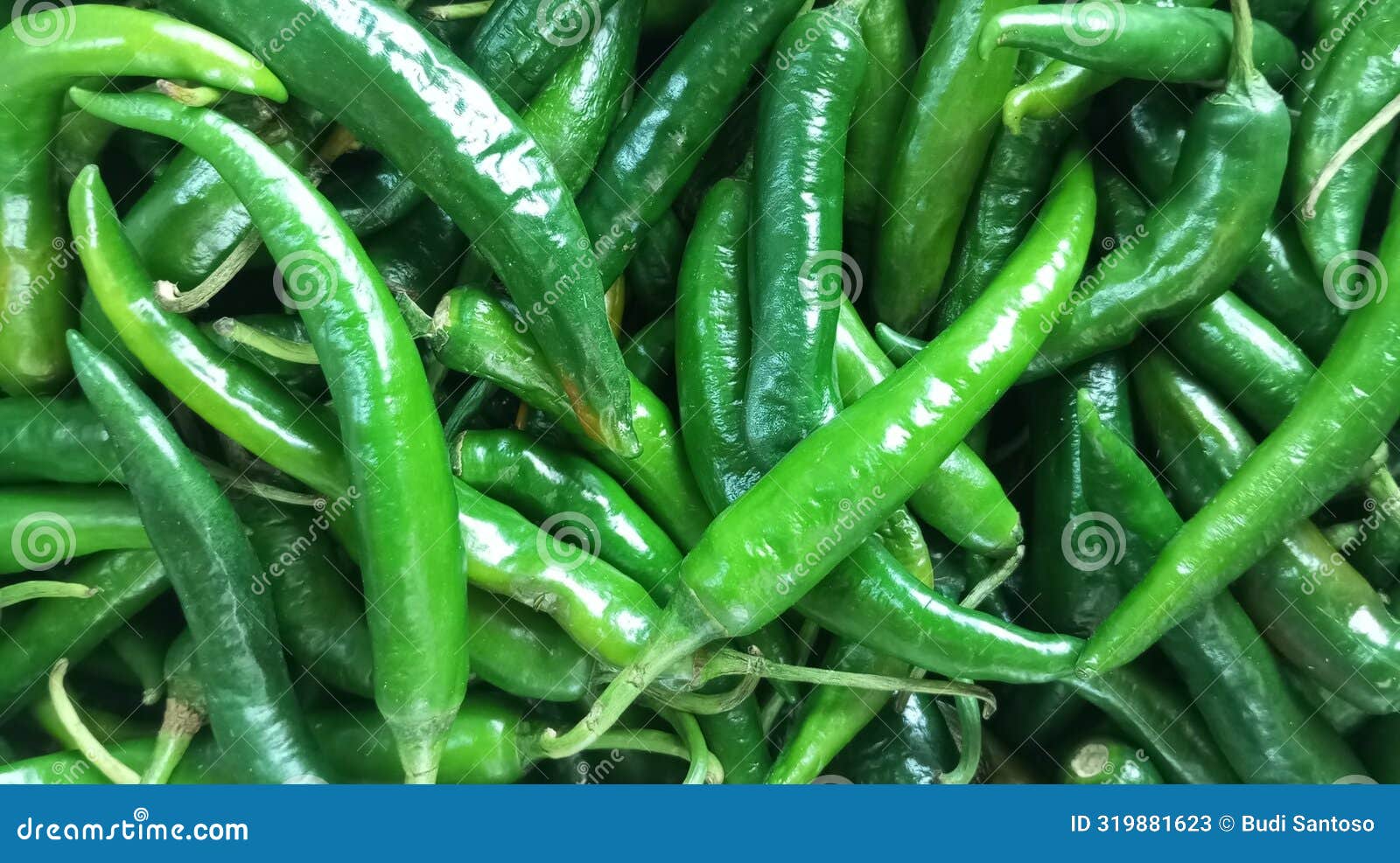 Fresh Big Green Chili Stack Photo Stock Image - Image of food, pile ...