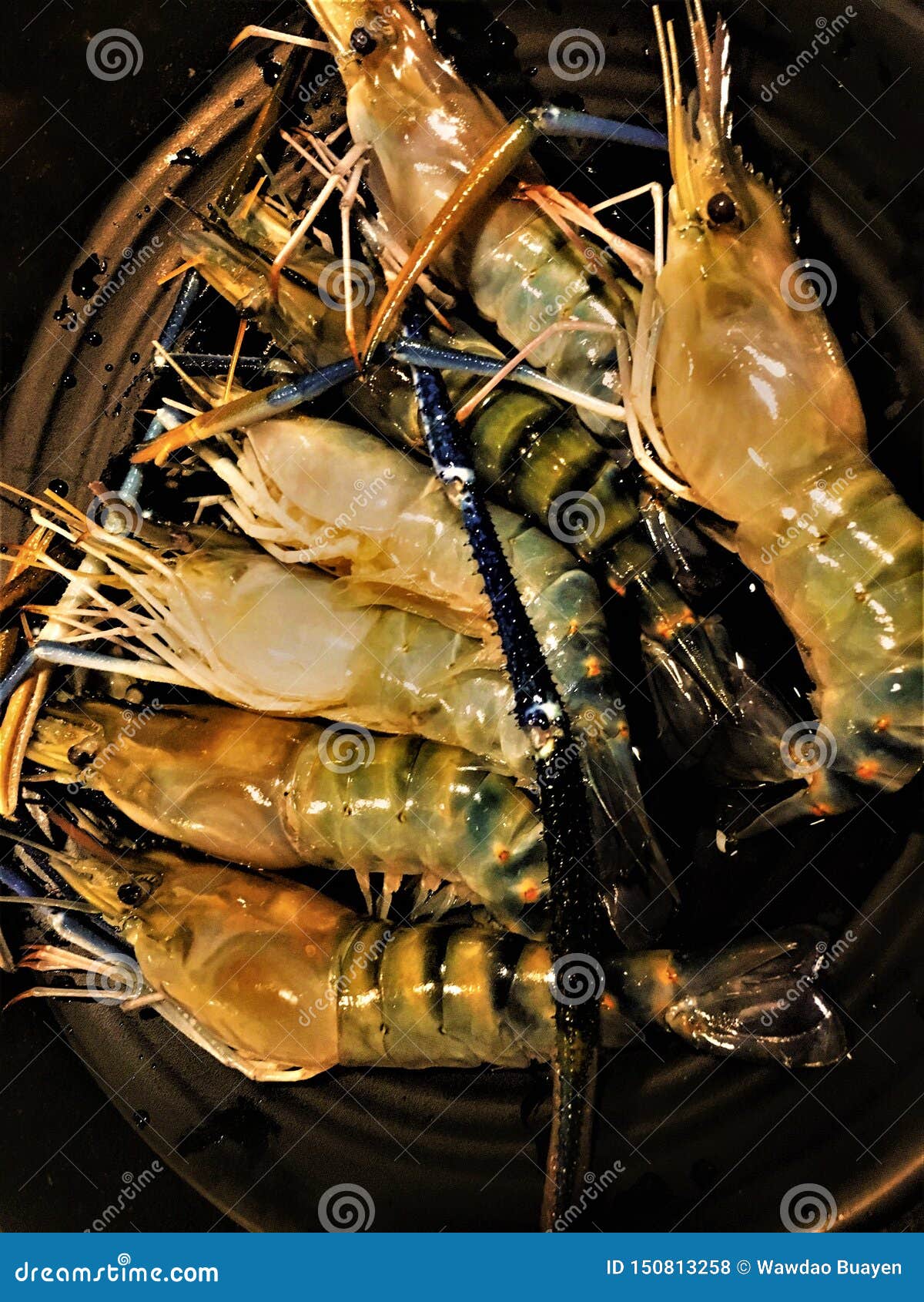 Fresh BIG Shrimp in the Dish Stock Photo - Image of display, complete ...