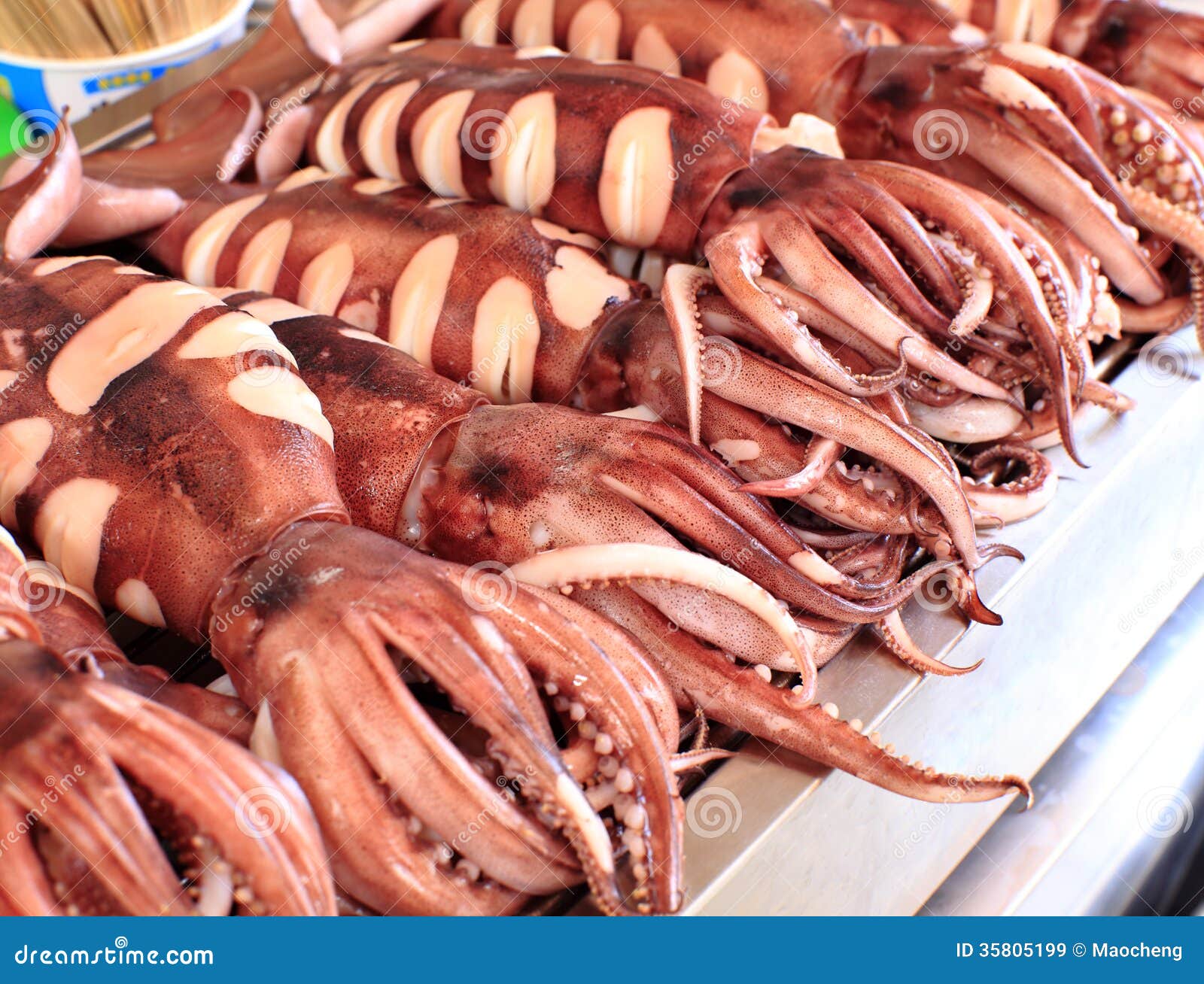 Fresh big squid stock image. Image of mollusk, freshness - 35805199