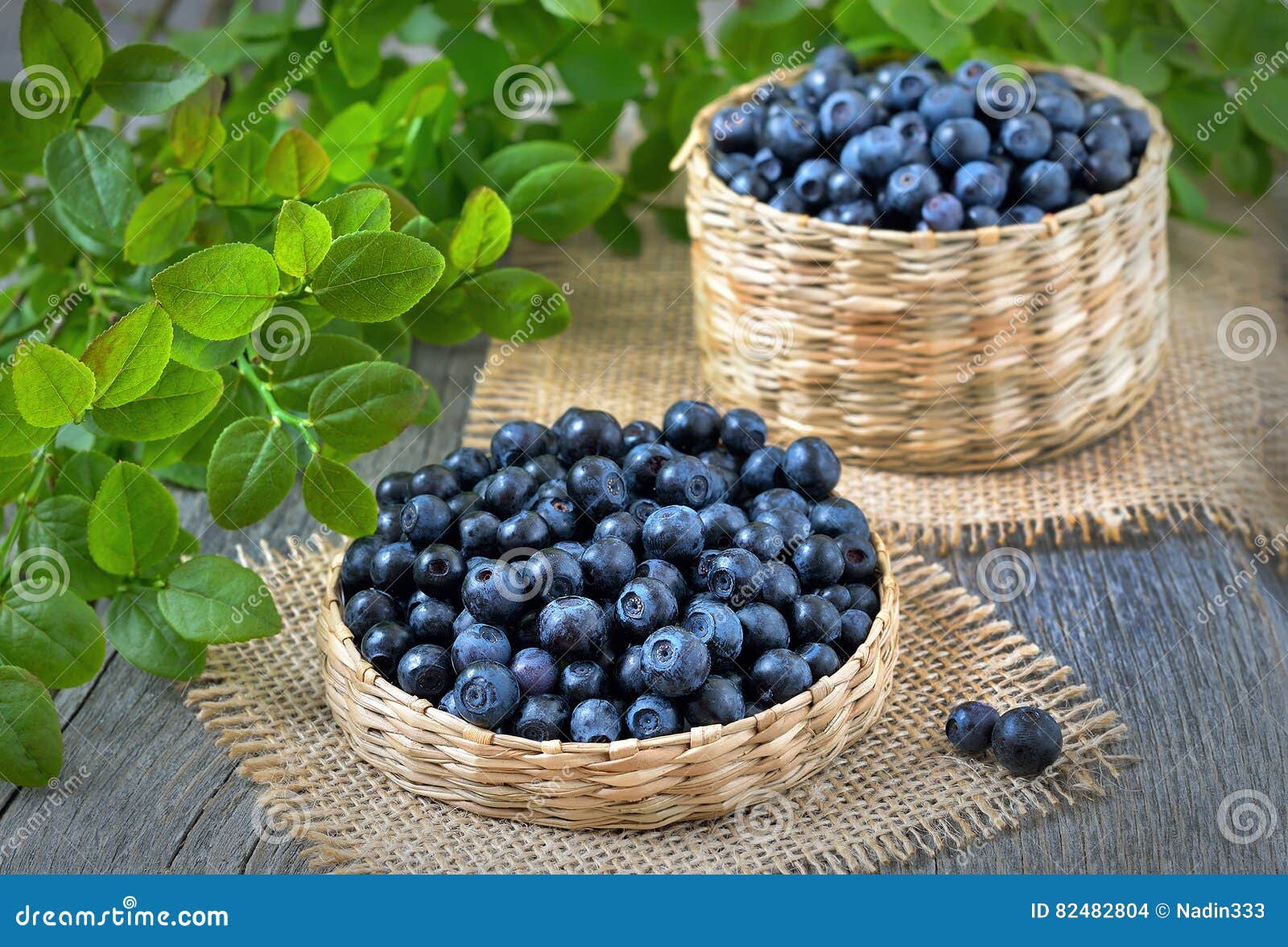 Fresh bilberry stock photo. Image of health, basket, juicy - 82482804