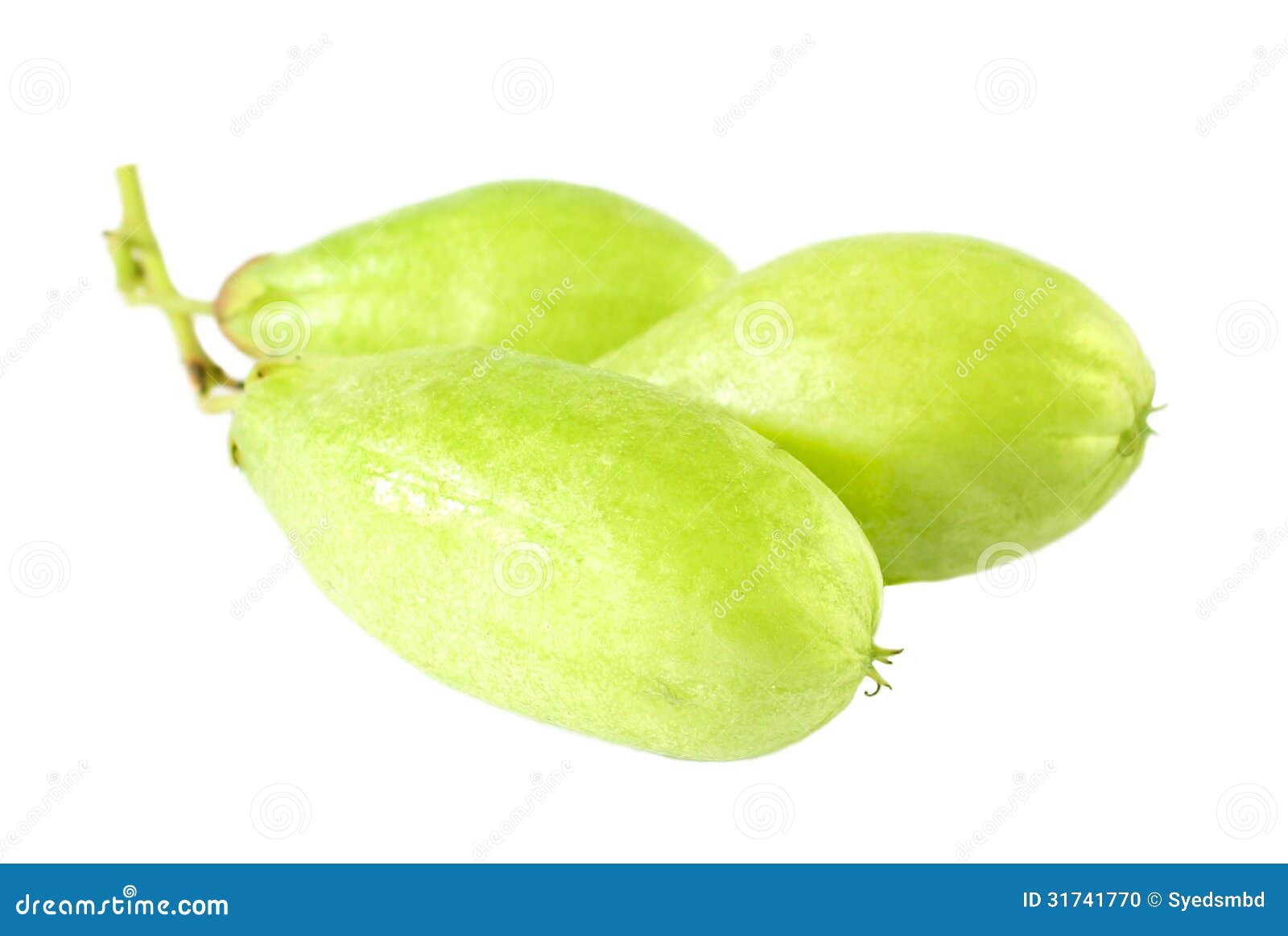 Bilimbi Fruits On Tree. Sour Fruit. Averrhoa Bilimbi. Belimbing Buluh ...