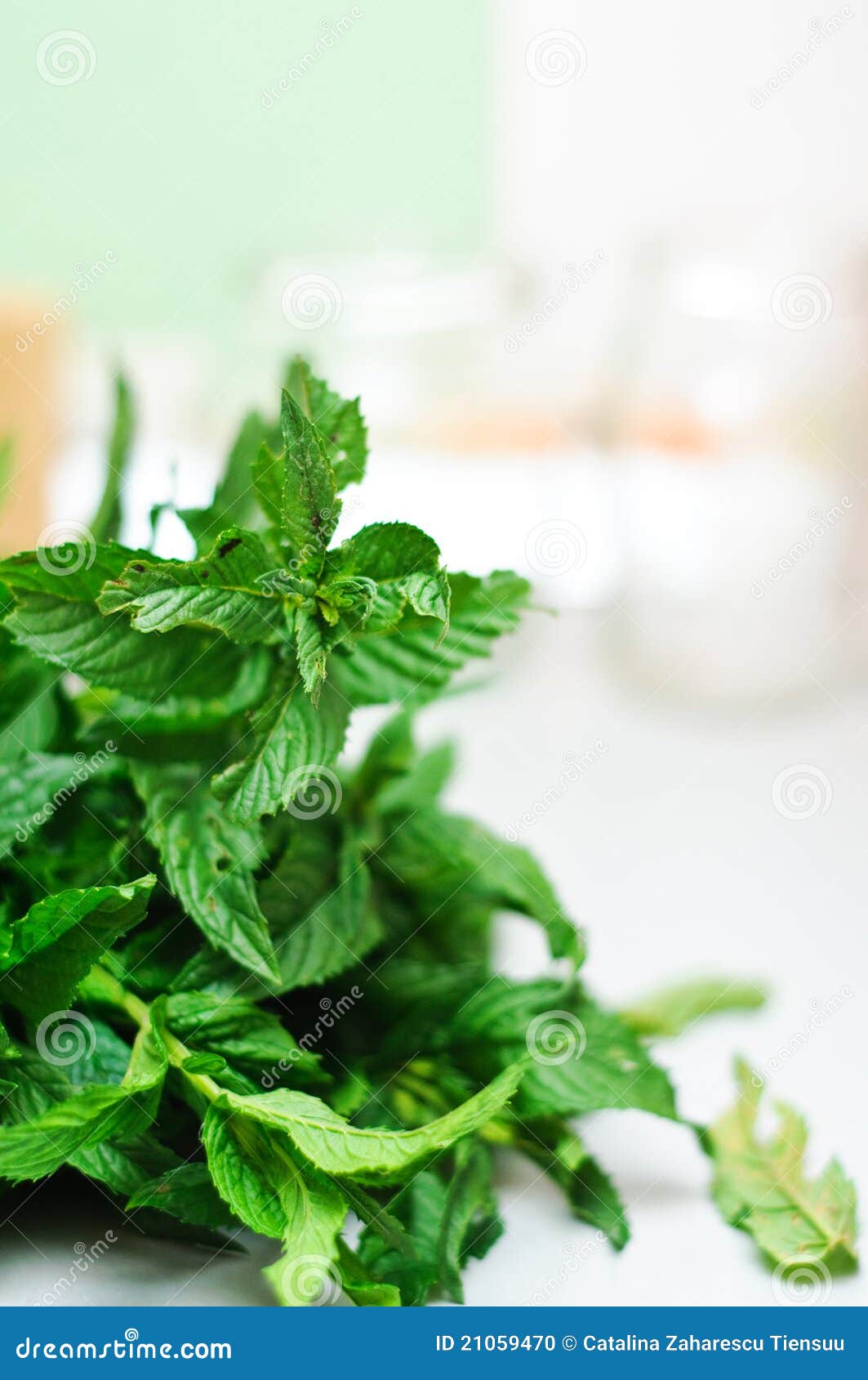 Fresh bio mint stock photo. Image of kitchen, bouquet - 21059470