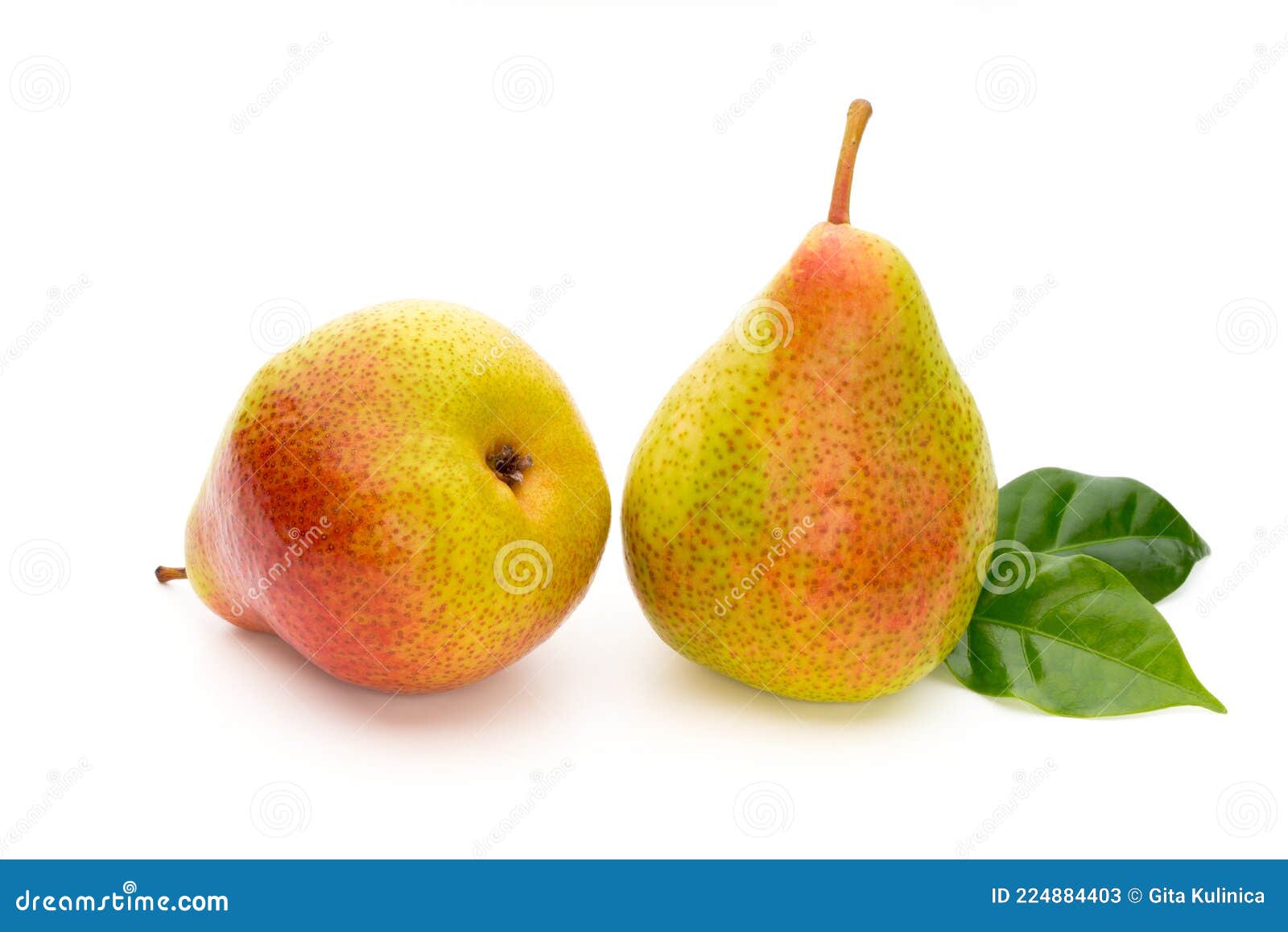 Fresh Bio Pear with Leaves on Isolated White Background Stock Image ...