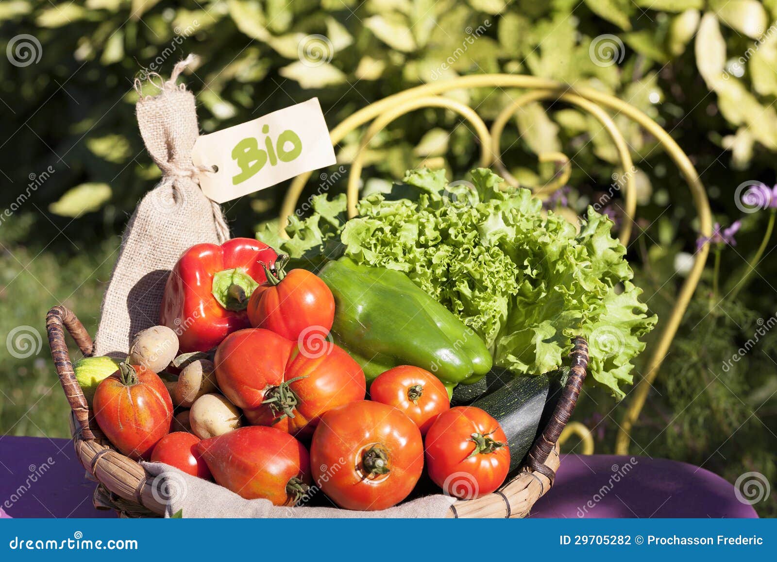 Fresh bio vegetables stock photo. Image of gathering - 29705282