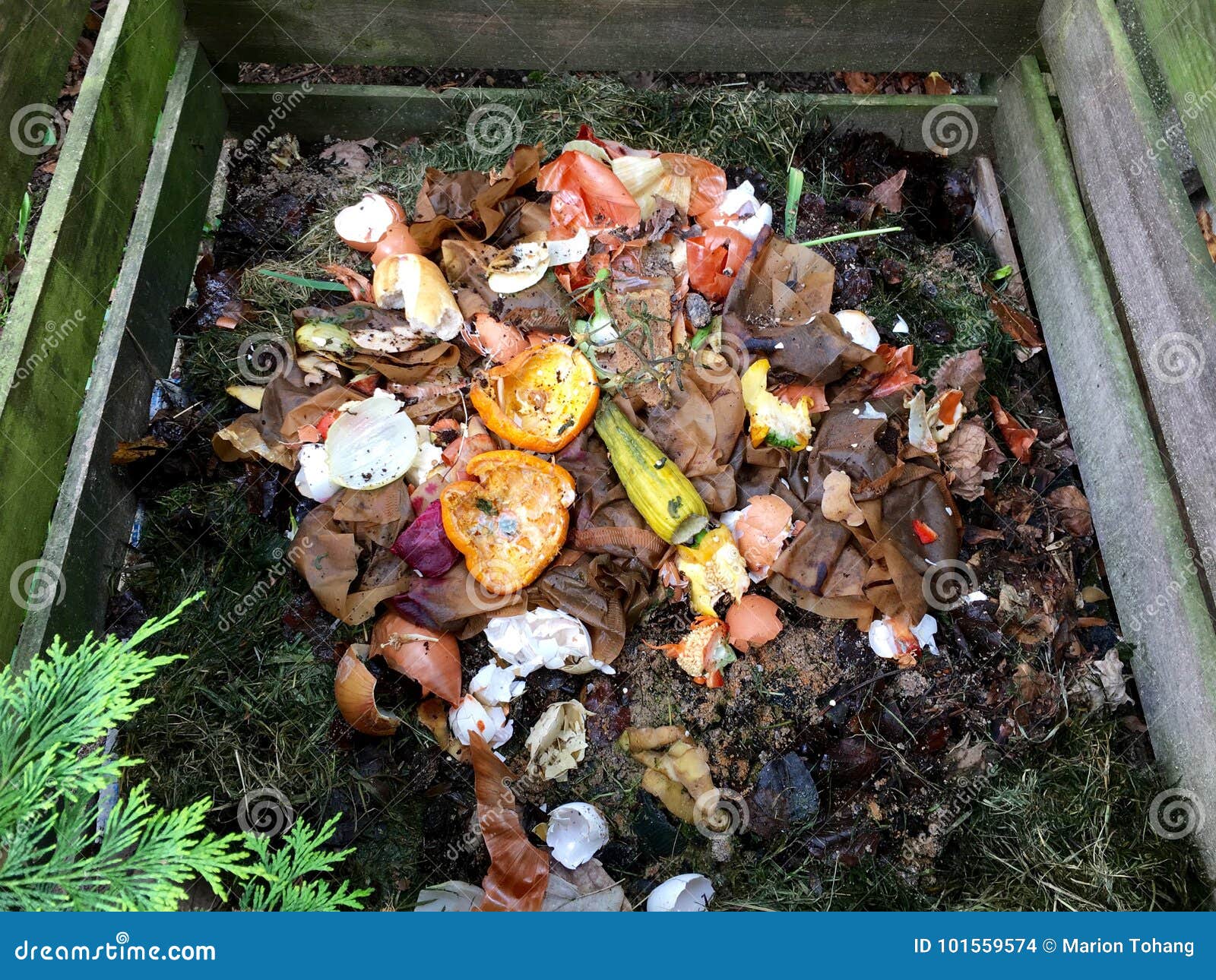 Fresh Bio Waste and Compost Stock Photo - Image of background, gray ...
