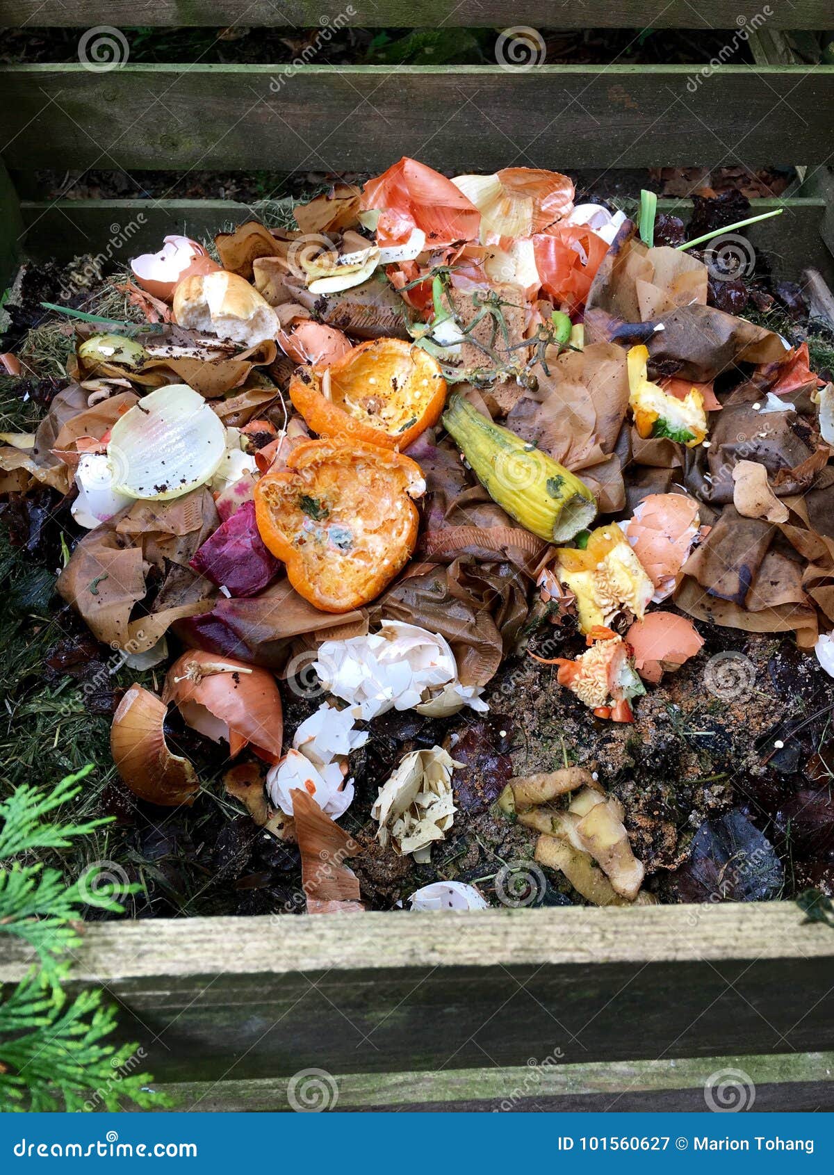 Fresh Bio Waste and Compost Stock Image - Image of macro, composting ...