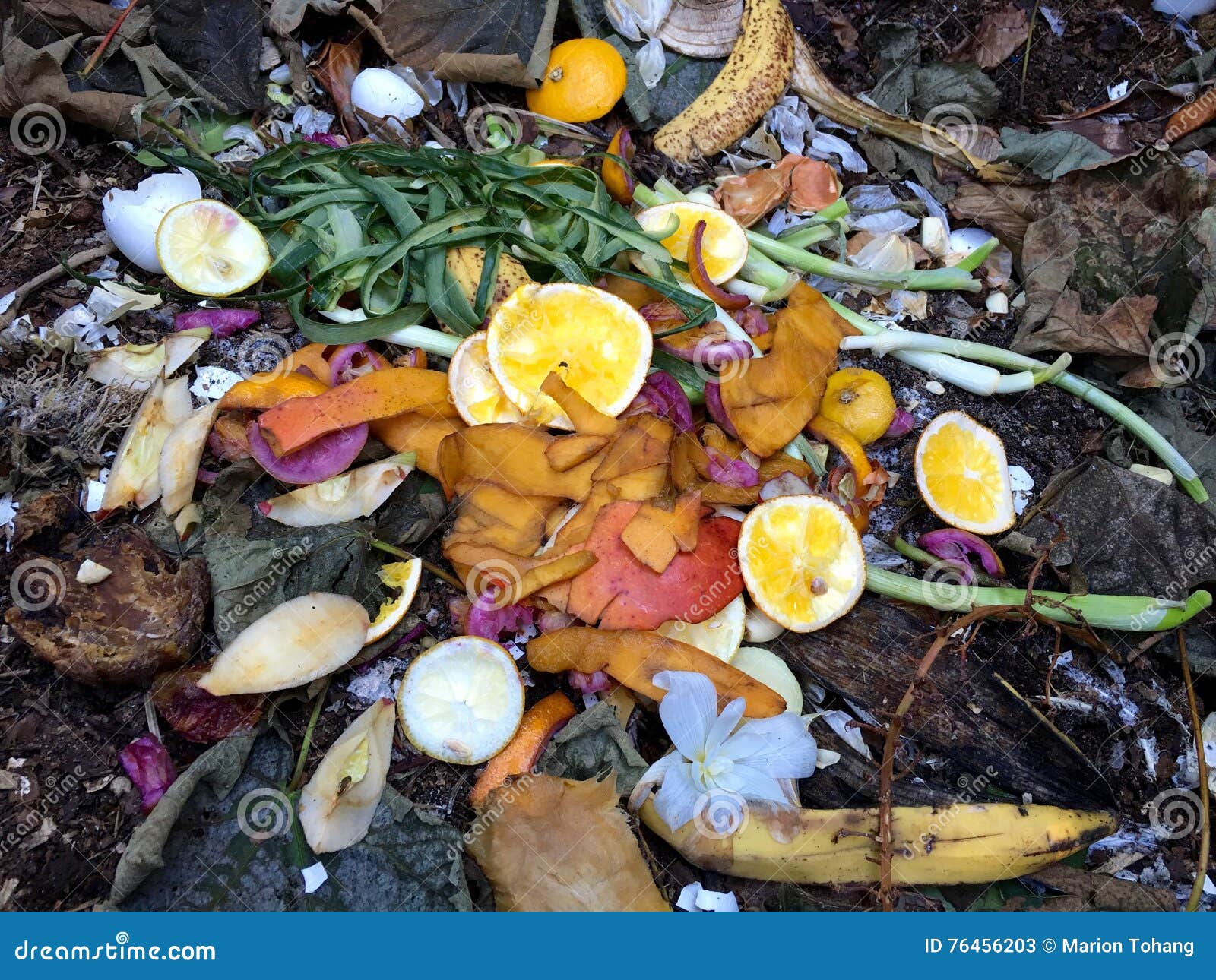 Fresh Bio Waste and Compost with Orange Peels Stock Image - Image of ...