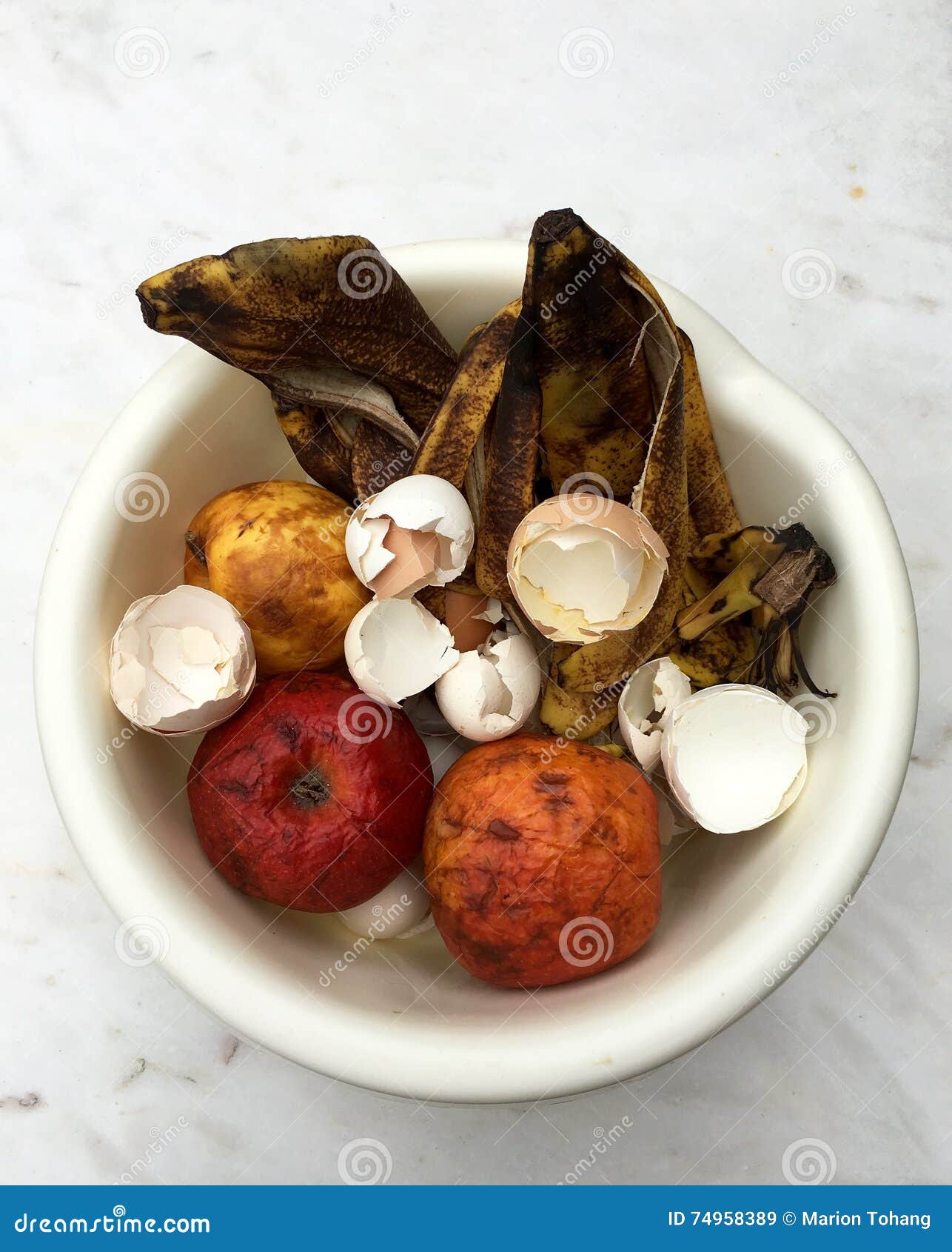 Fresh bio-waste stock image. Image of food, household - 74958389