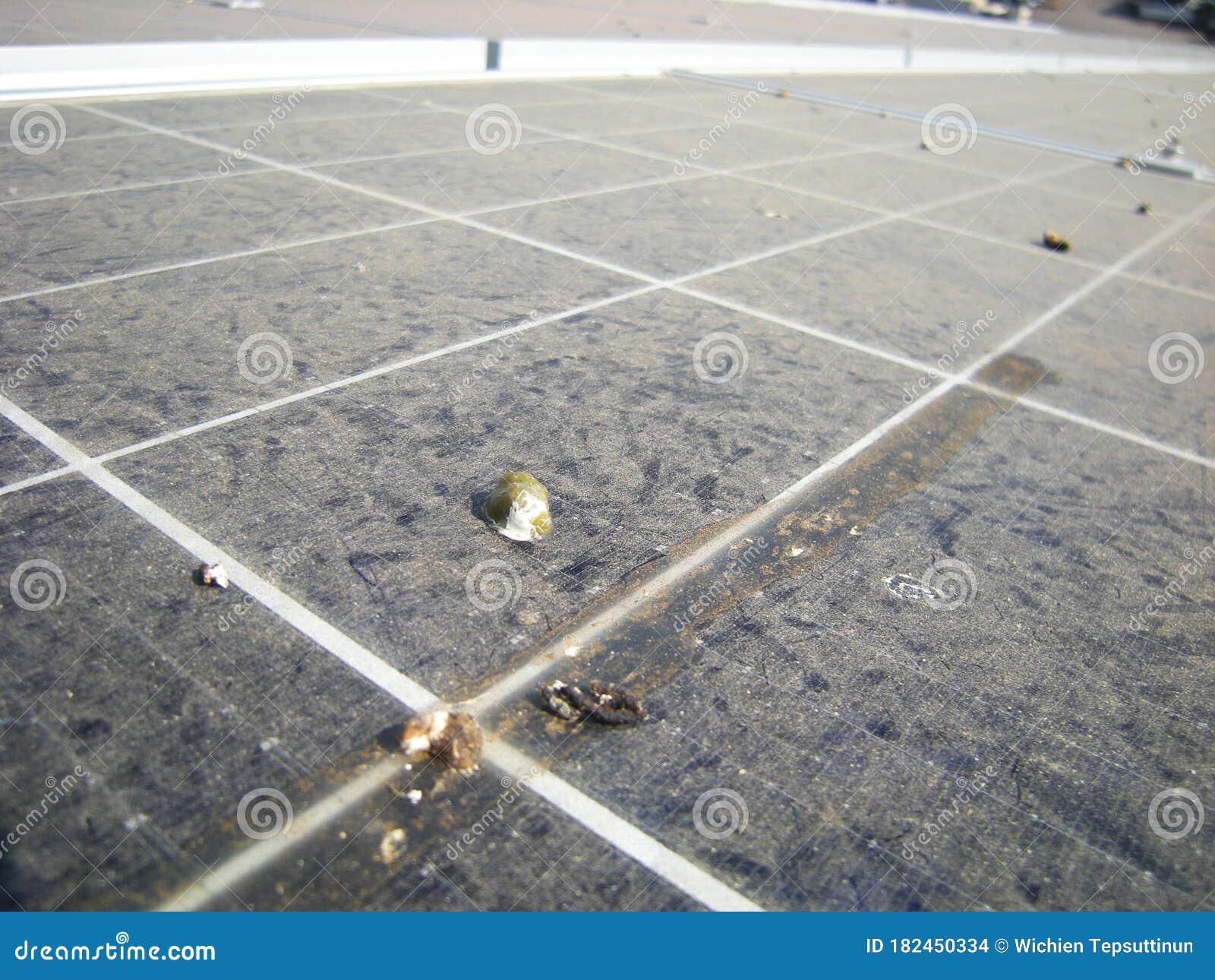Fresh Bird Poop on Dusty Solar Panel Surface Stock Photo - Image of ...