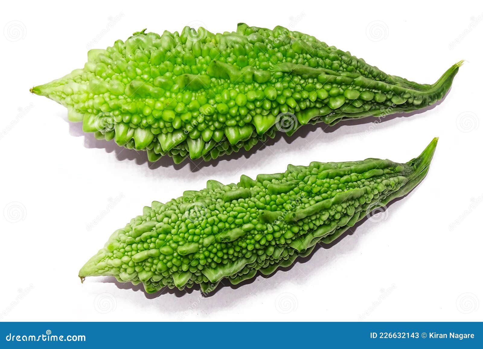 Fresh bitter gourd stock image. Image of ingredient - 226632143