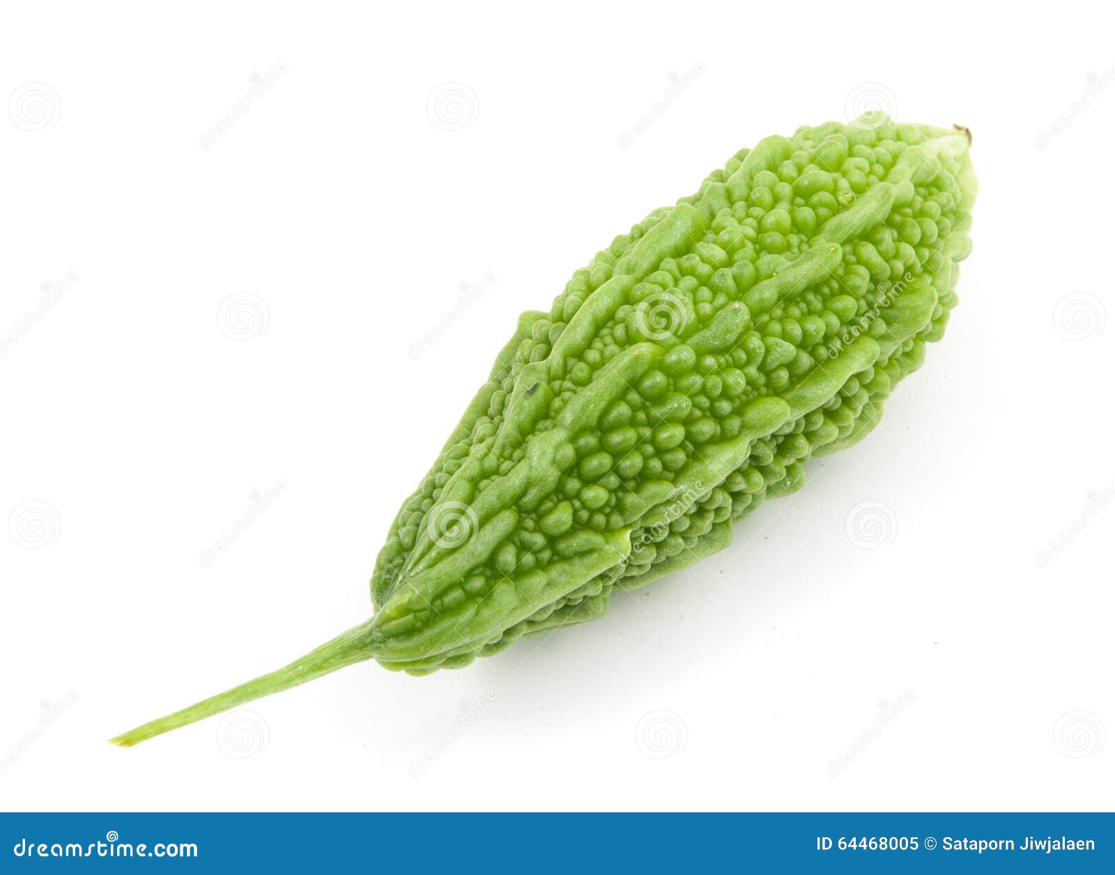 Fresh Bitter Gourd Isolated Stock Illustration - Illustration of ...