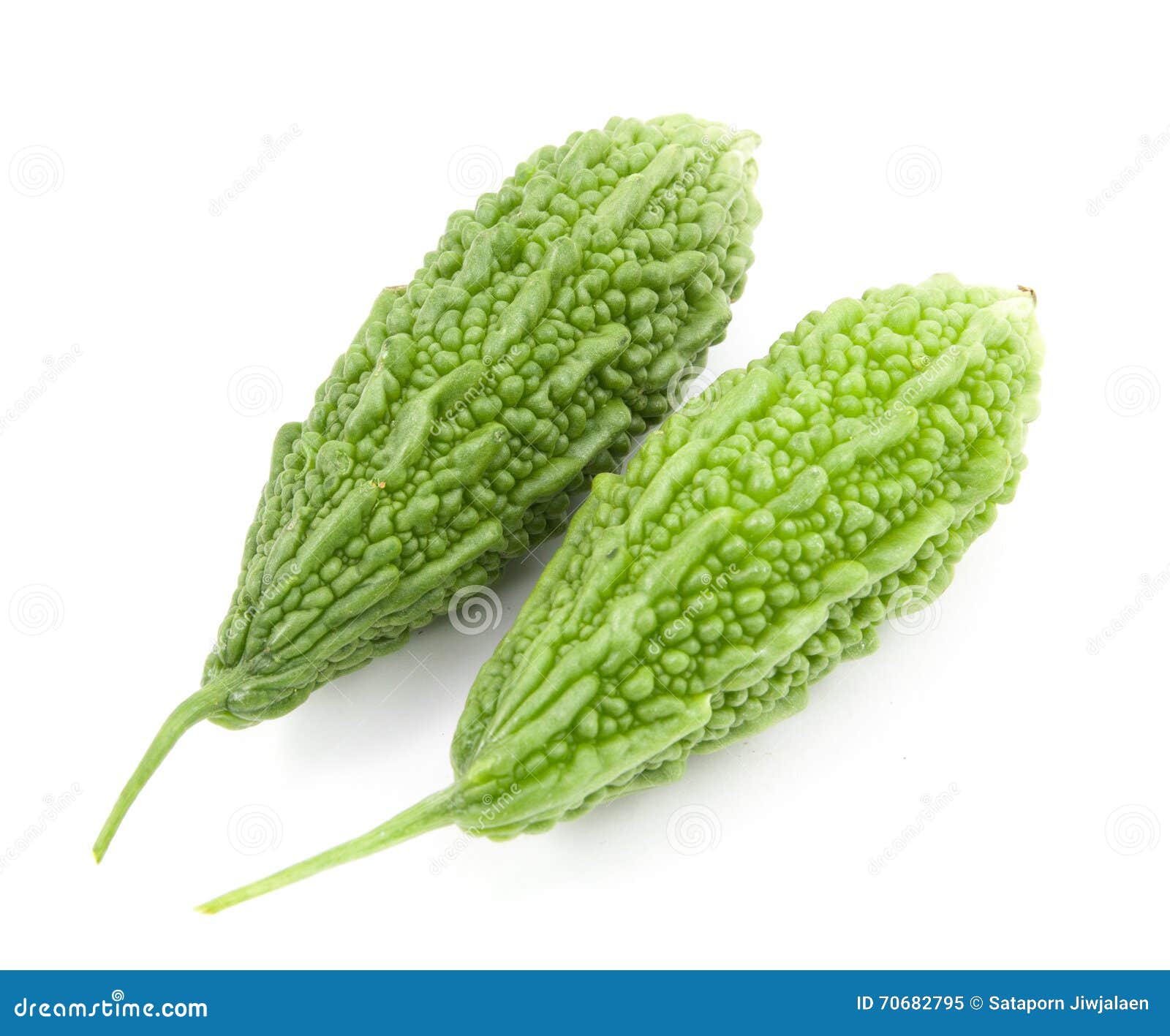 Fresh Bitter Gourd Isolated Stock Illustration - Illustration of ...