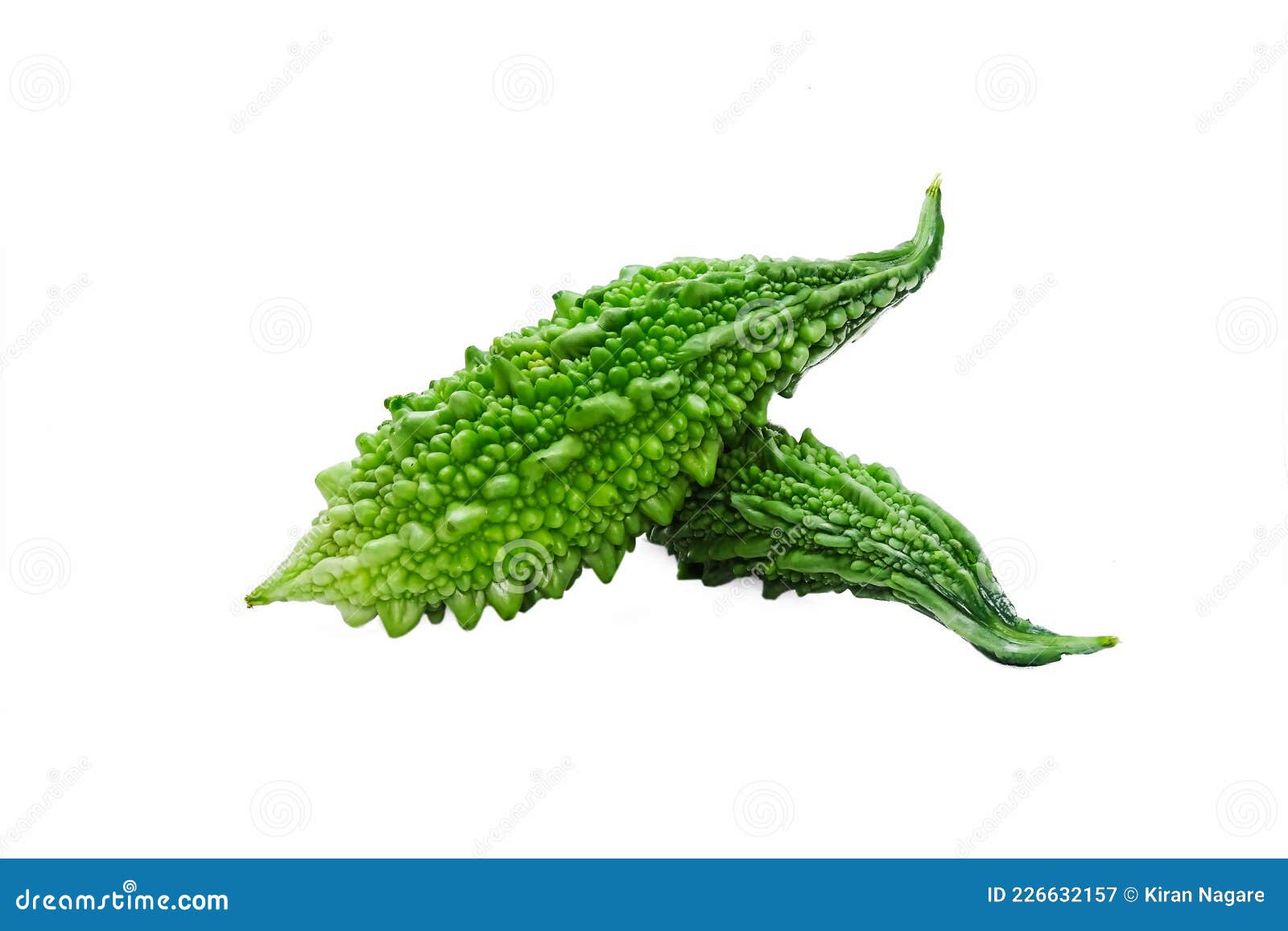 Fresh bitter gourd stock image. Image of healthy, gourd - 226632157