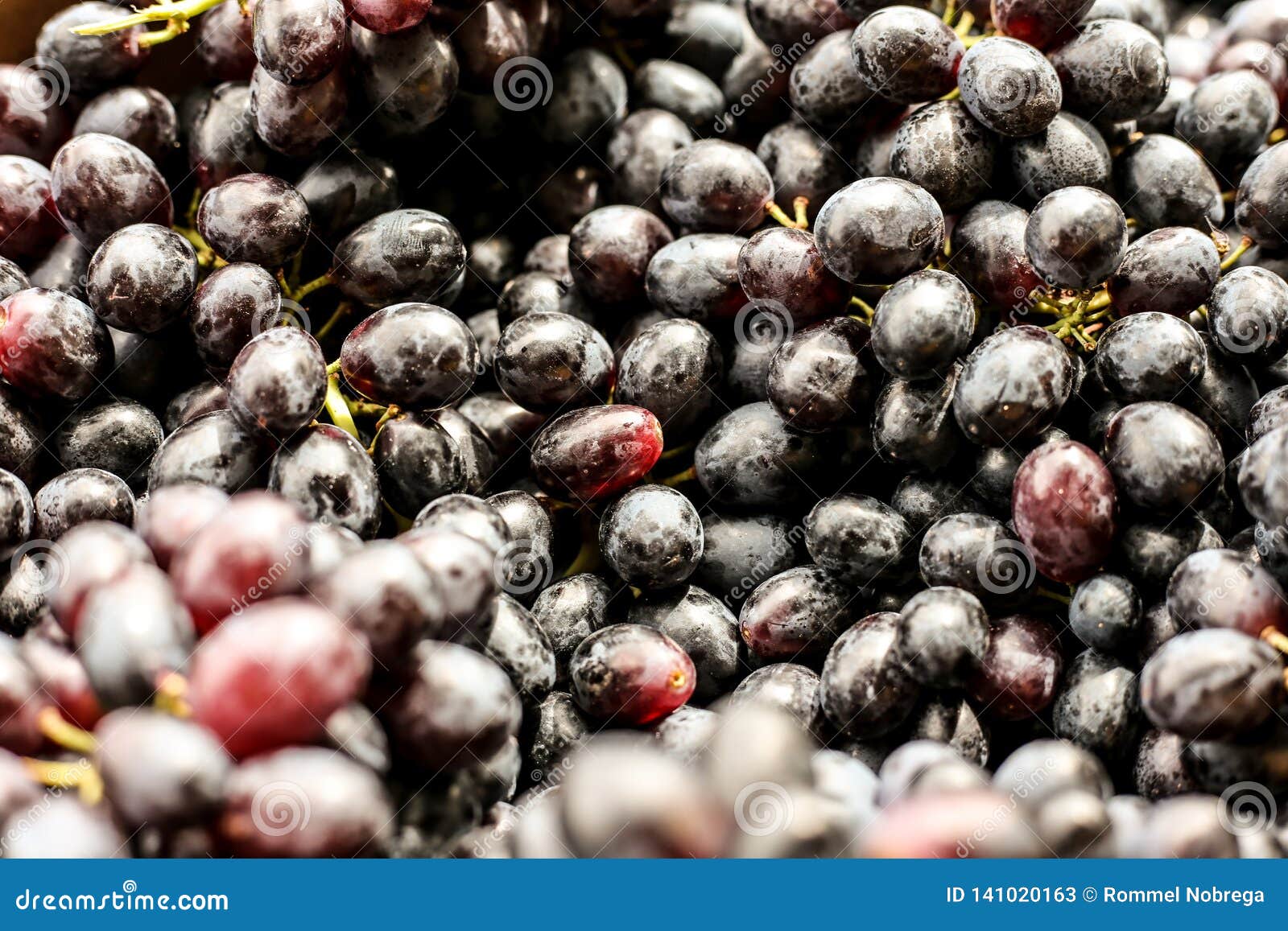 Black Brazilian grape stock image. Image of tasty, wood - 141020163