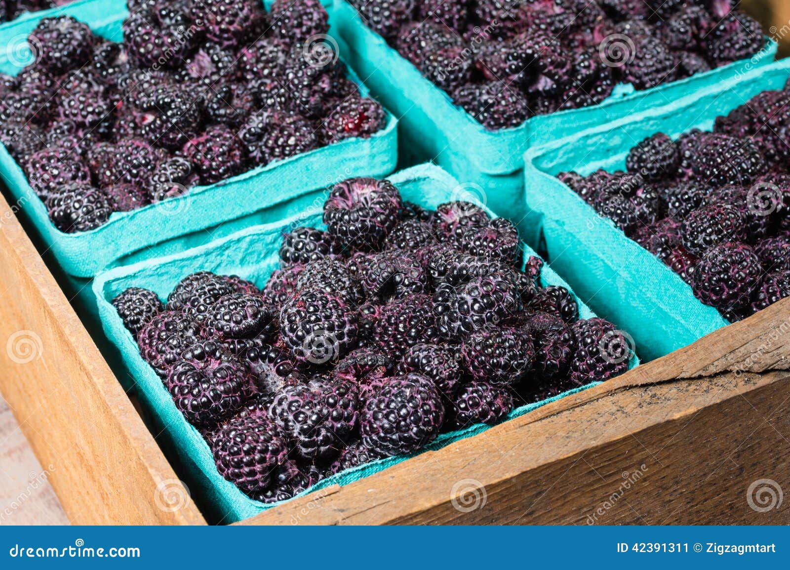 Fresh Black Raspberries in Boxes Stock Image - Image of black ...