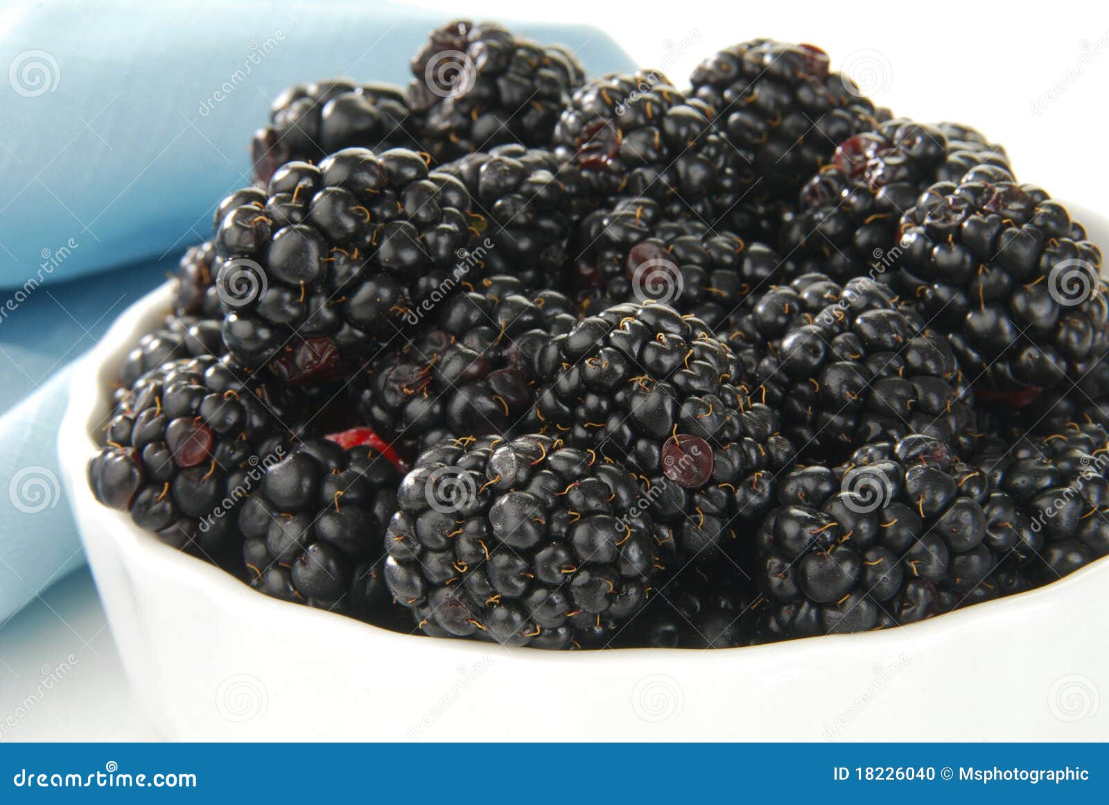 Fresh blackberries stock photo. Image of white, blue - 18226040