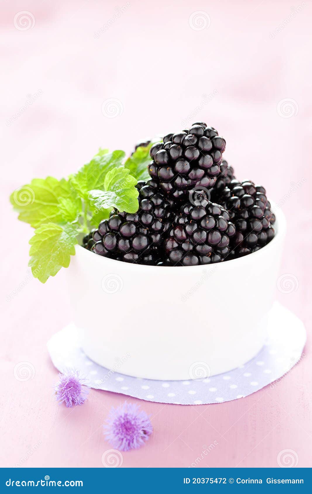 Fresh blackberries stock photo. Image of pure, dessert - 20375472