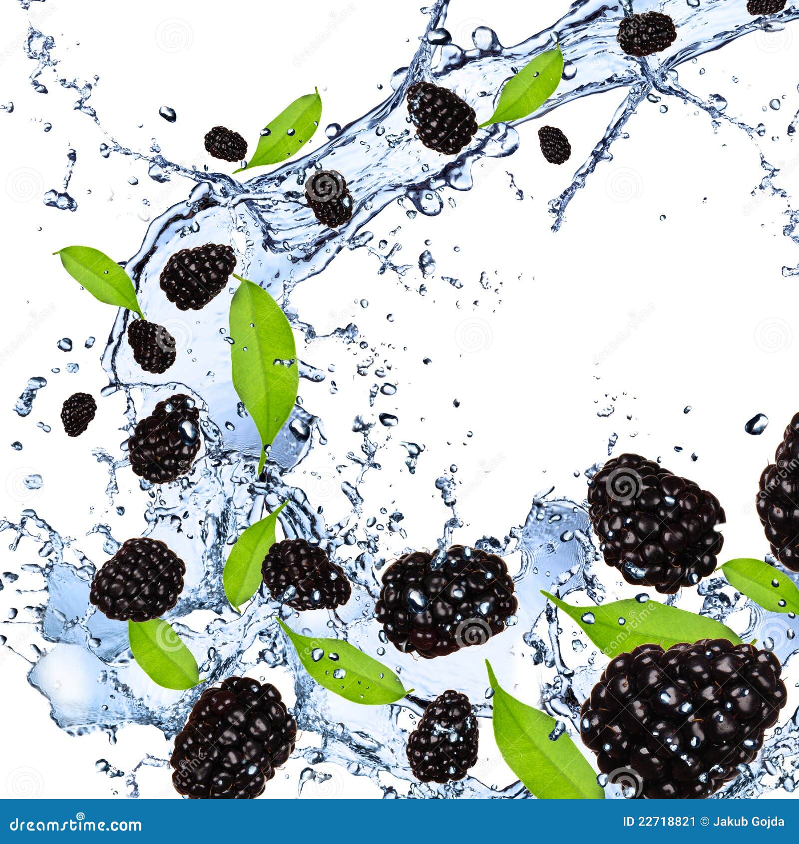 Washing Blackberries Stock Photos - Free & Royalty-Free Stock Photos ...