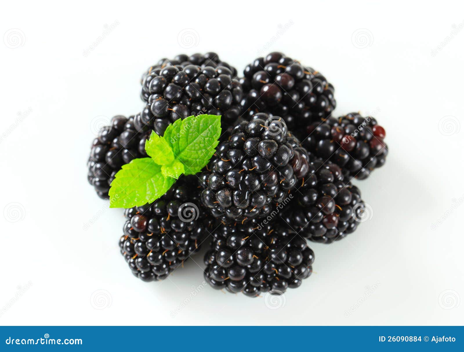 Fresh blackberries stock photo. Image of food, blackberries - 26090884