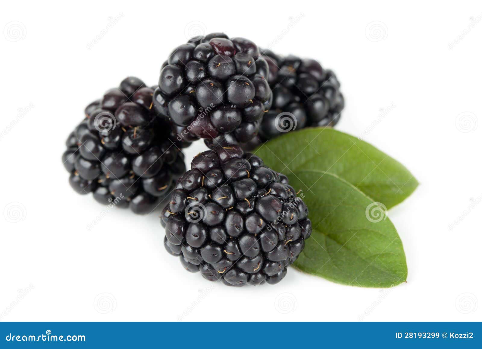 Fresh blackberries stock image. Image of black, natural - 28193299