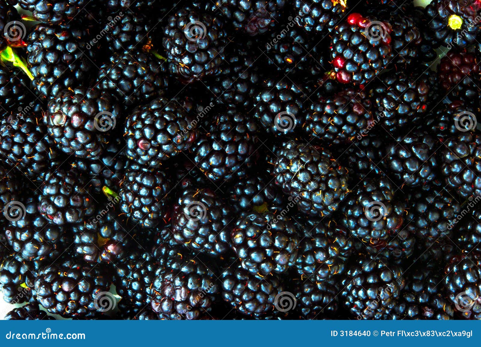 Fresh blackberries stock photo. Image of fruits, delicious - 3184640