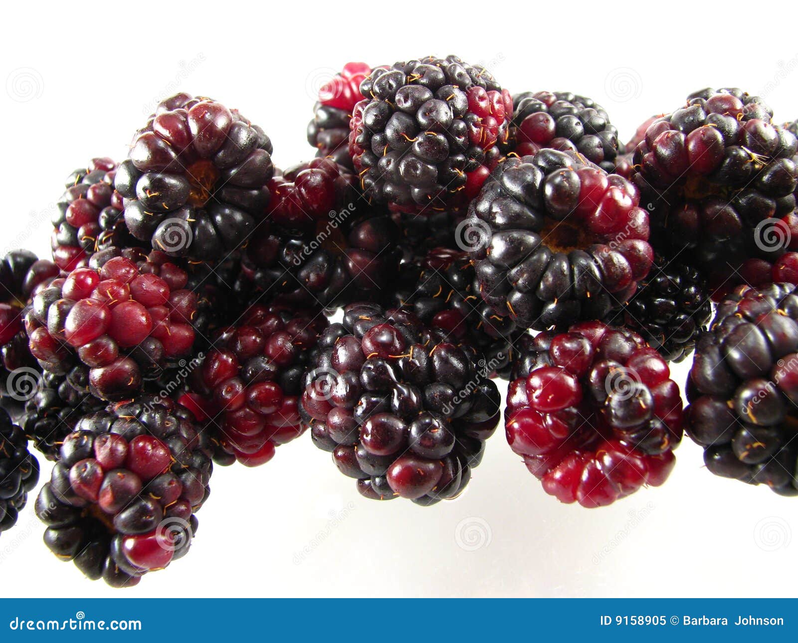 Fresh Blackberries stock image. Image of fresh, nutrition - 9158905