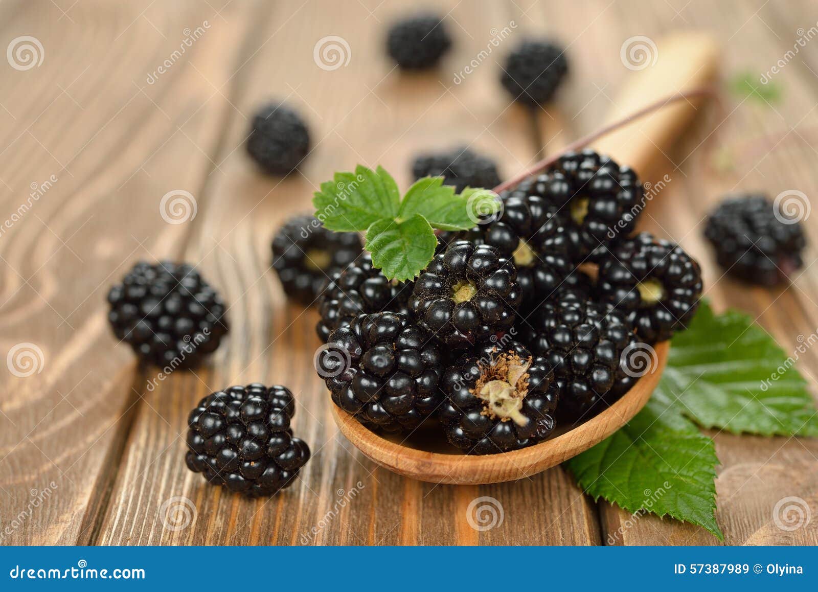 Fresh blackberries stock image. Image of food, healthy - 57387989