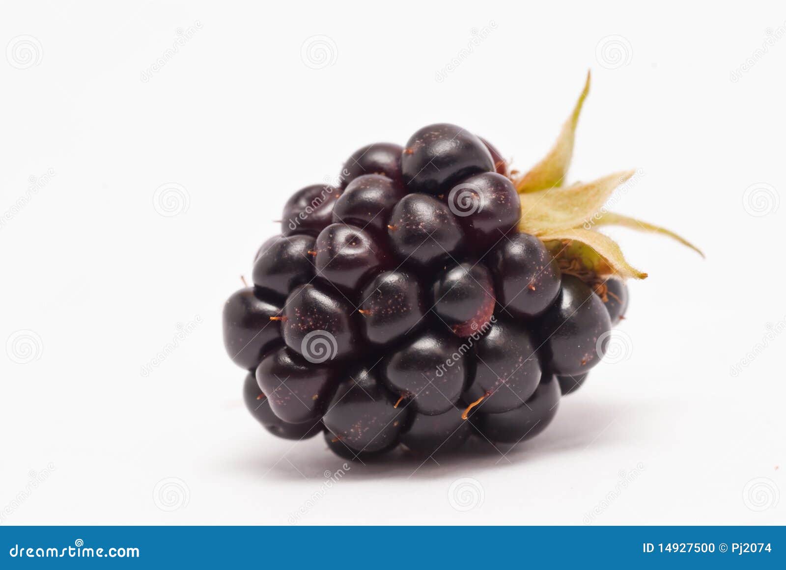 Fresh Blackberry stock photo. Image of snack, fruit, food - 14927500