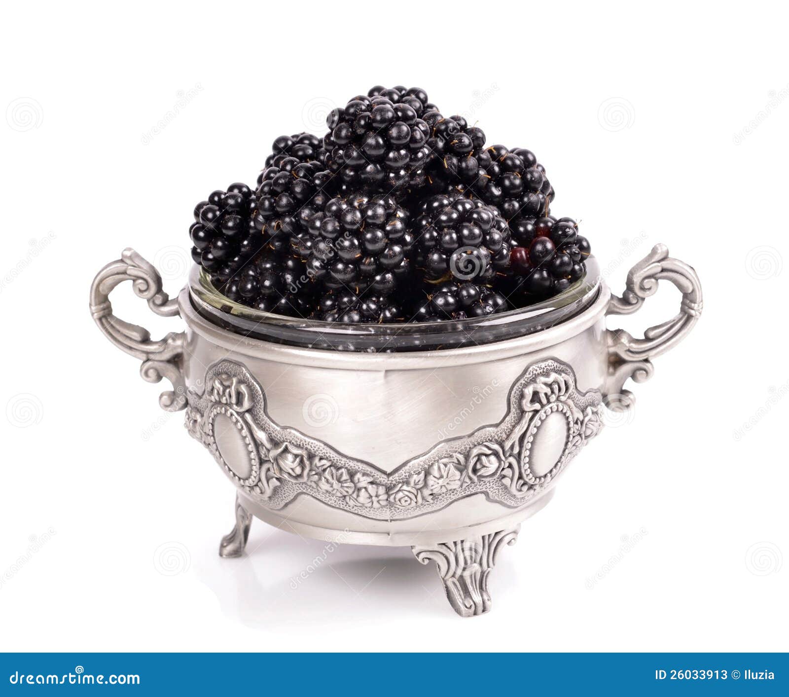 Fresh blackberry stock image. Image of food, healthy - 26033913