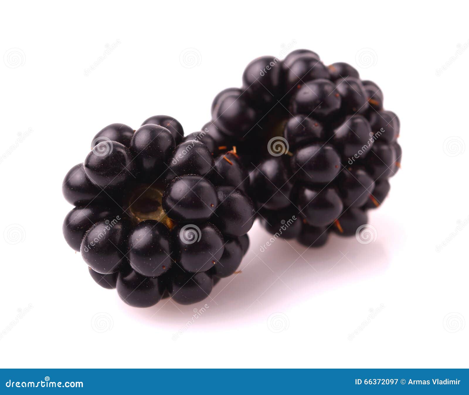 Fresh blackberry stock image. Image of blackberry, freshness - 66372097