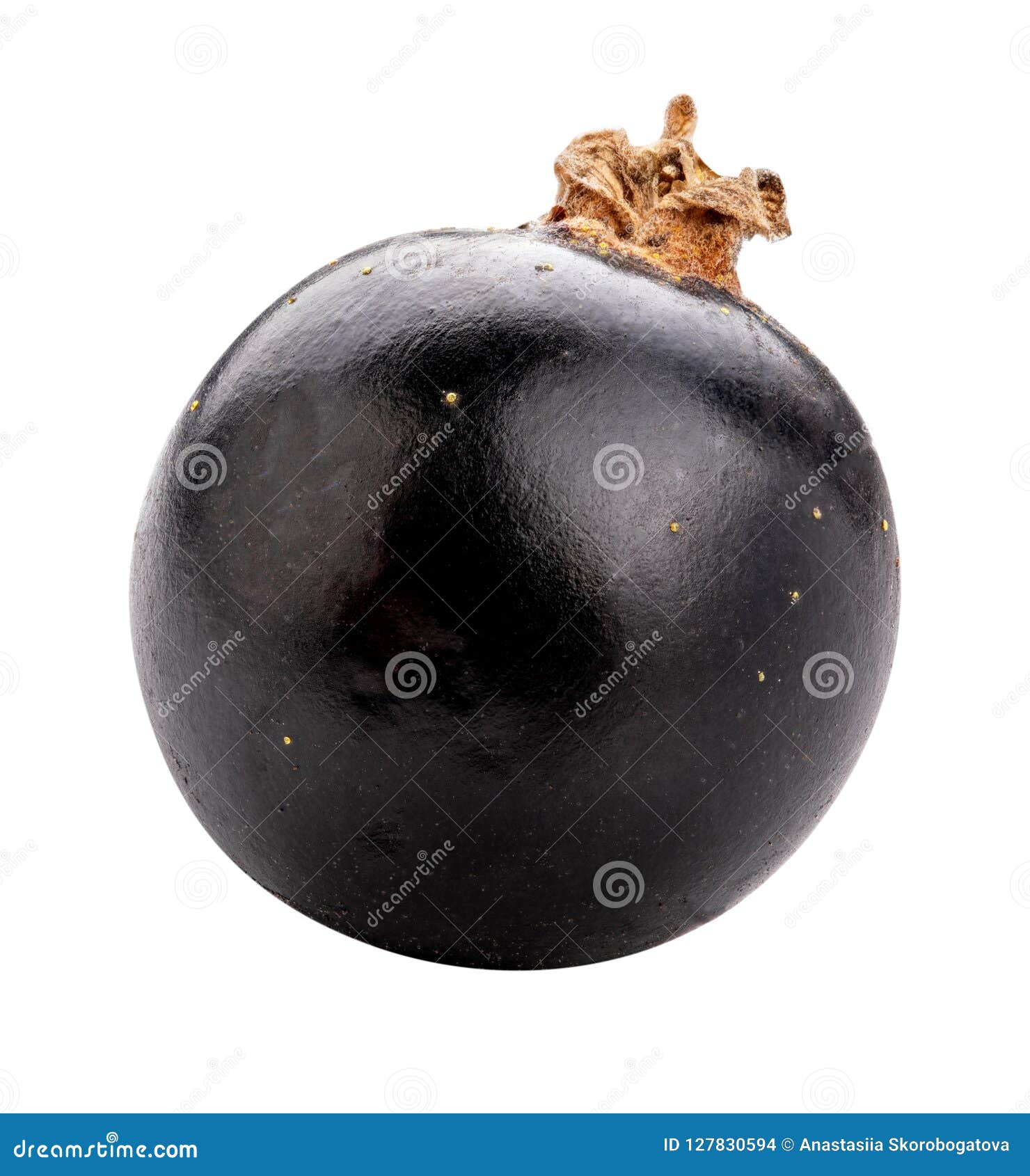 Fresh Blackcurrant Isolated on White Background. Clipping Path Stock ...