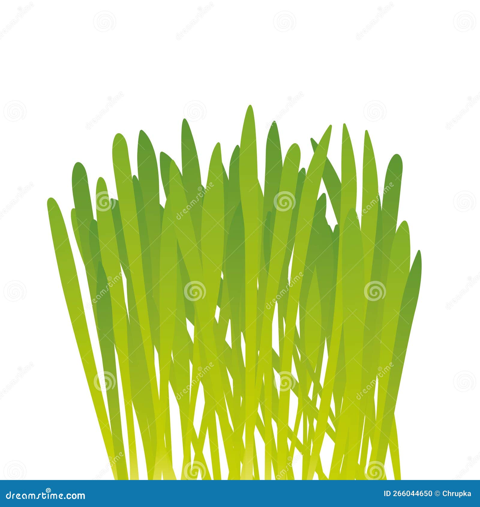 Fresh Blades of Spring Green Grass, Oat Stock Vector - Illustration of ...