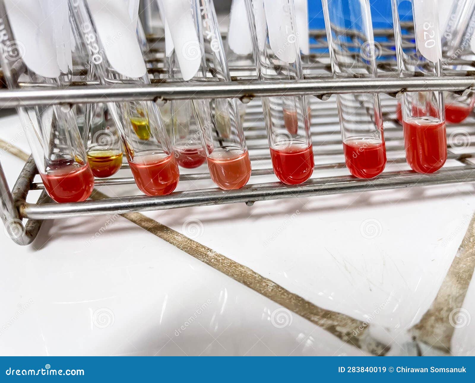 Blood Bank Test Tube at Laura Mullen blog