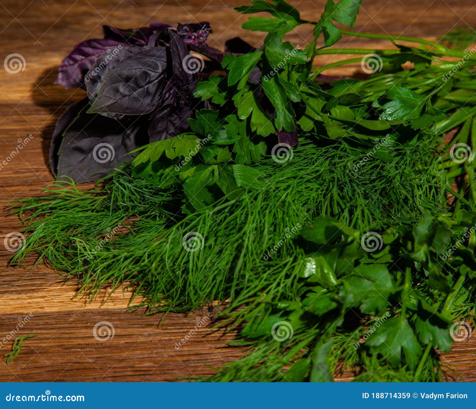 Fresh Blue Basil, Cilantro, Dill Stock Image - Image of aromatic, meal ...