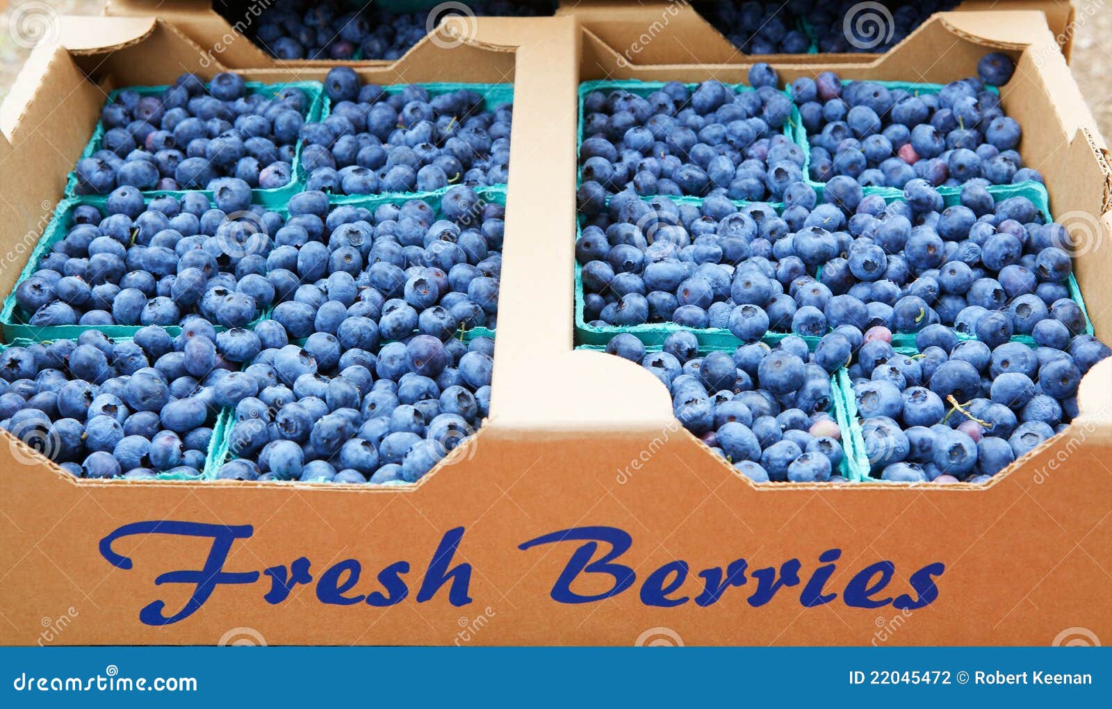 Fresh Blue berries stock photo. Image of abundance, fresh - 22045472