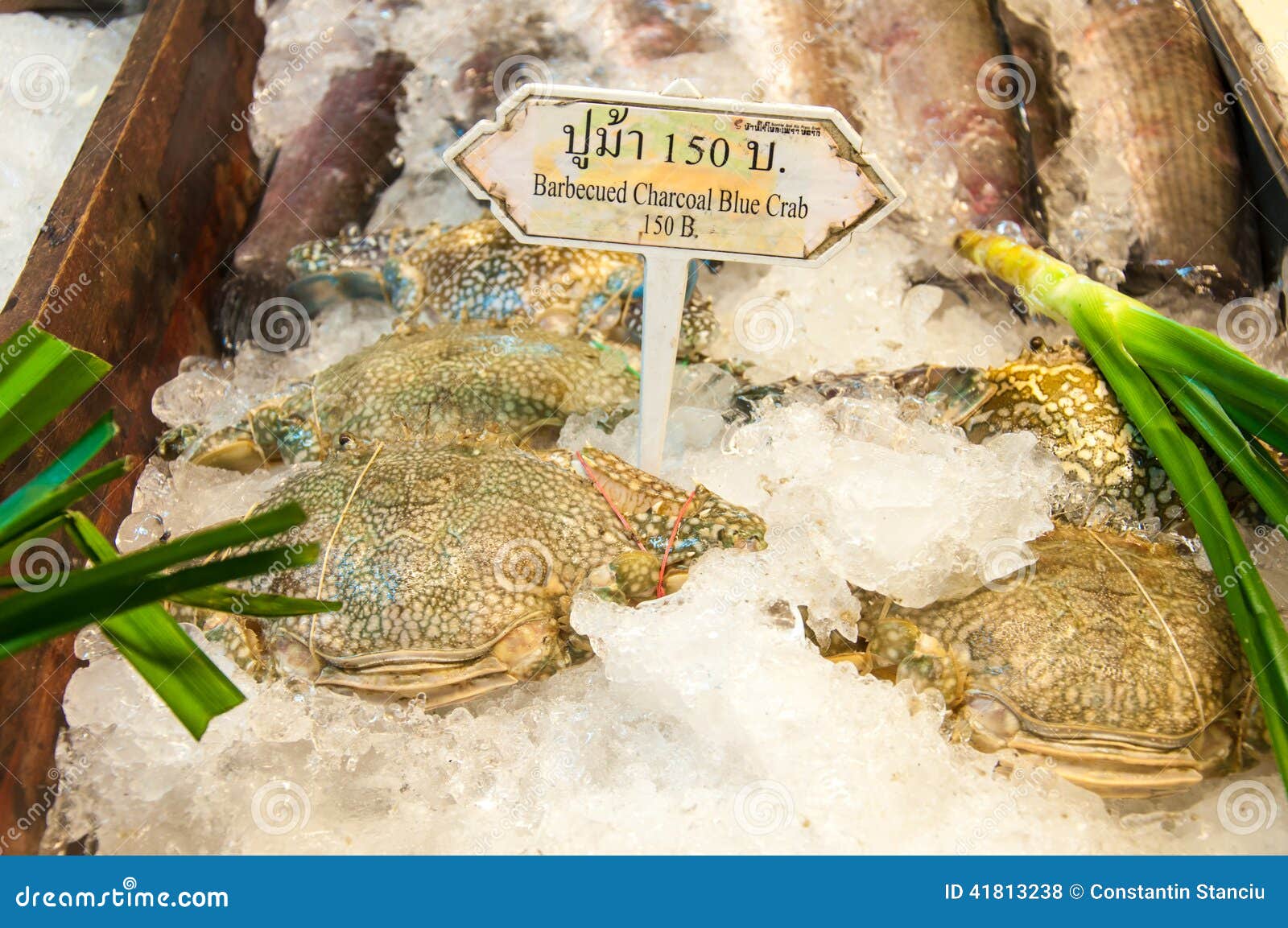 Fresh blue crabs on ice stock photo. Image of healthy - 41813238