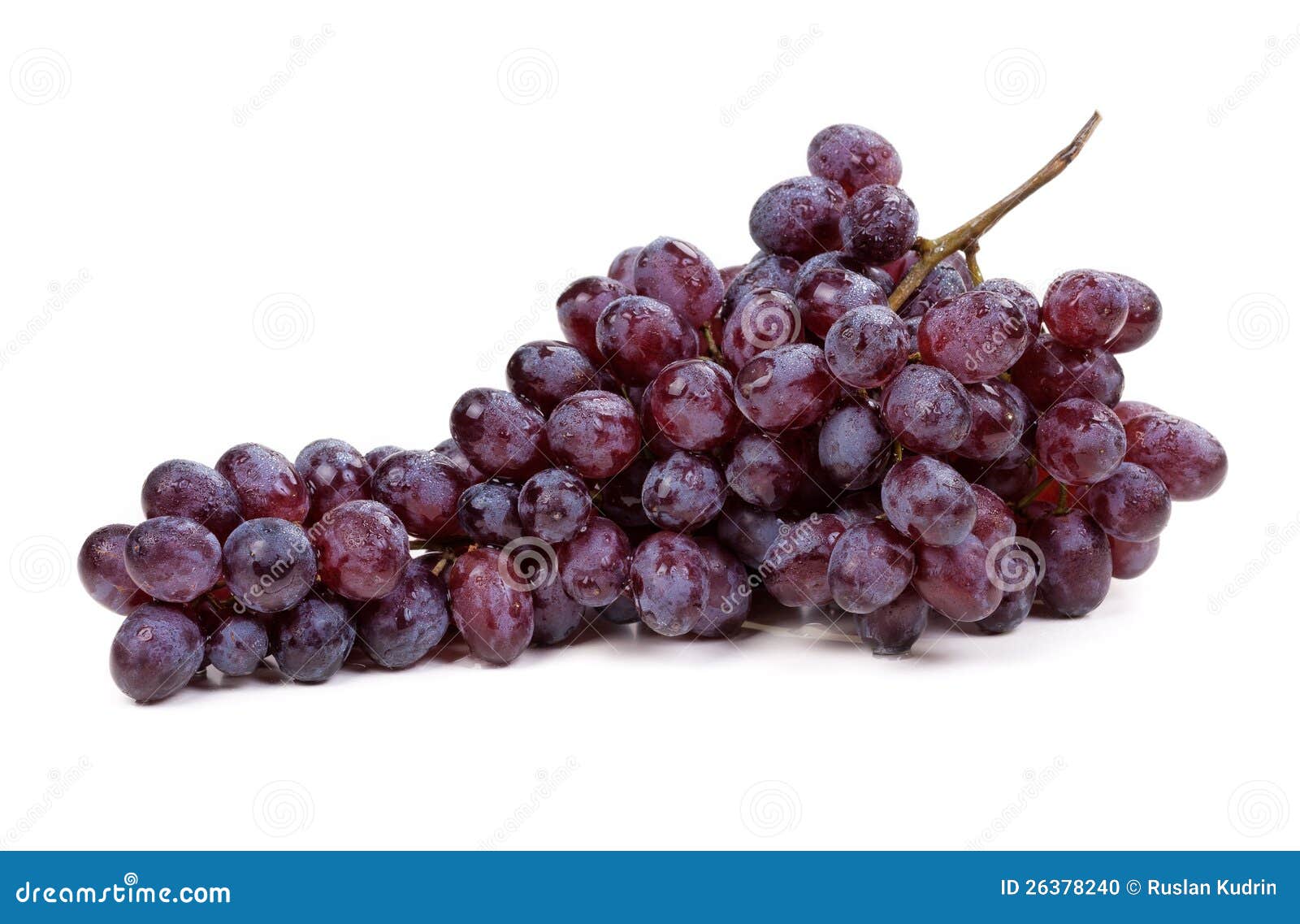 Fresh blue grape fruit stock photo. Image of fresh, fruit - 26378240