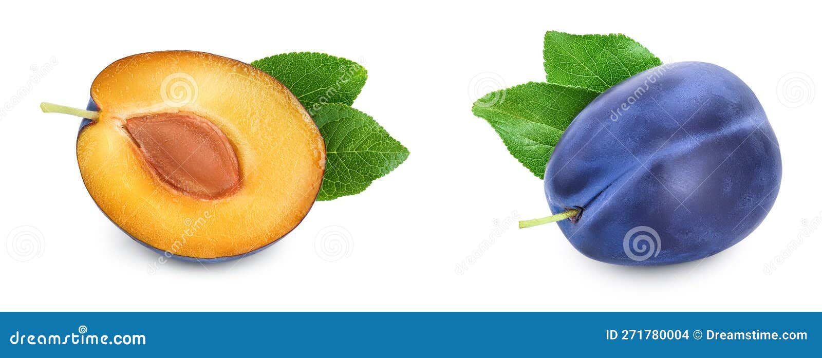 Fresh Blue Plum Half with Leaves Isolated on White Background Stock ...