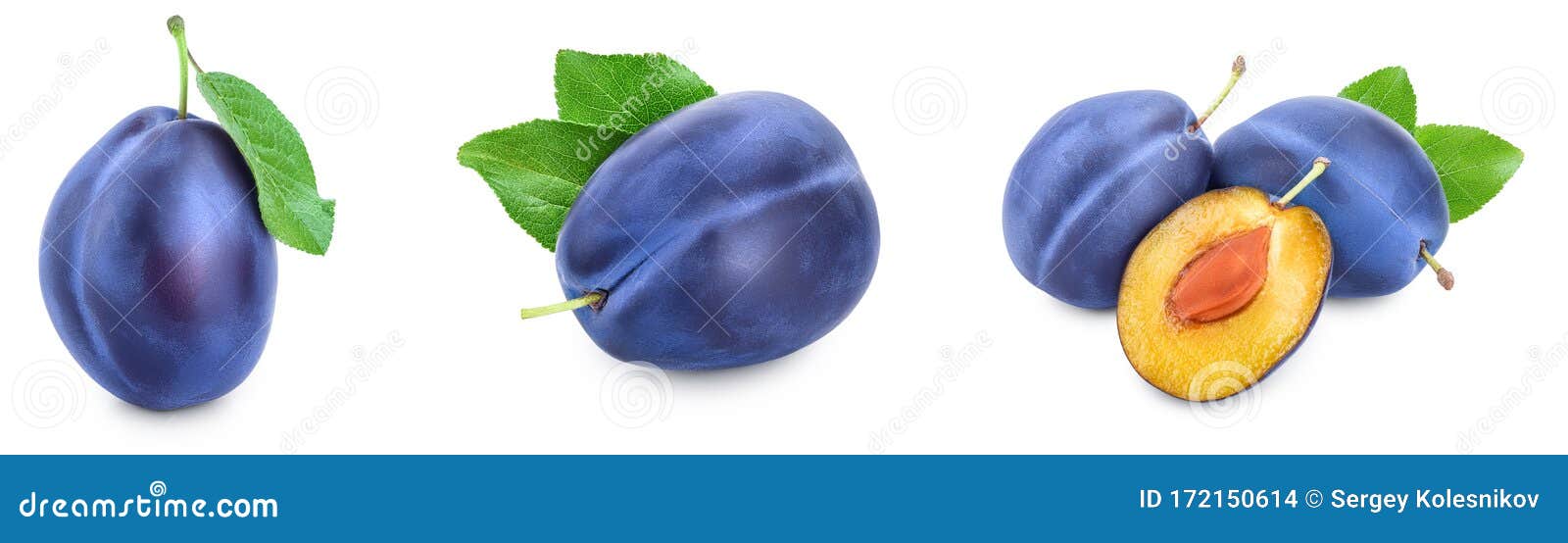 Fresh Blue Plum with Leaves Isolated on White Background. Set or ...