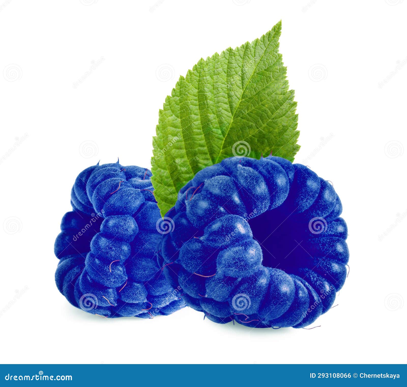 Fresh Blue Raspberries and Green Leaf Isolated on White Stock Photo ...