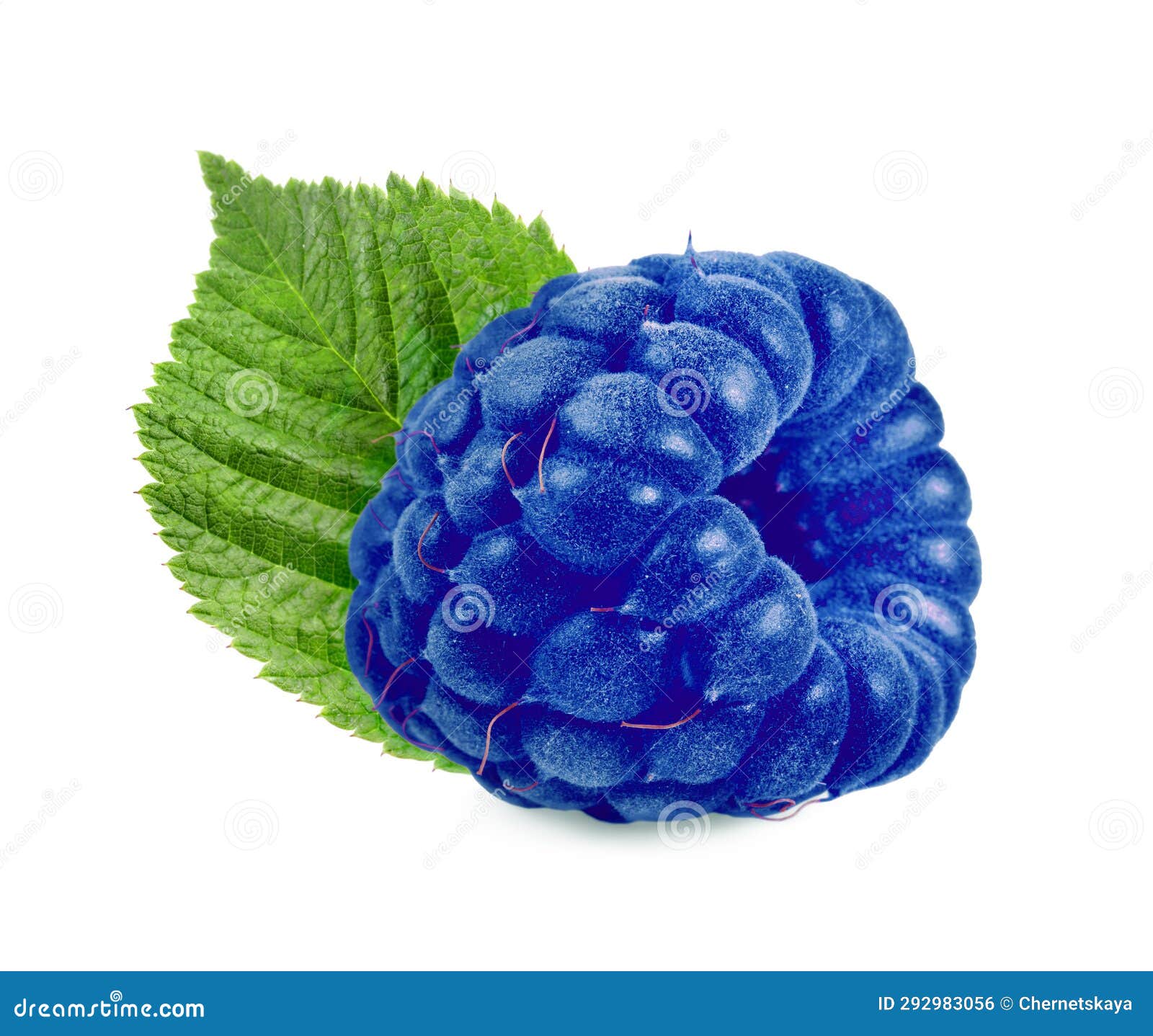 Fresh Blue Raspberry and Green Leaf Isolated on White Stock Photo ...