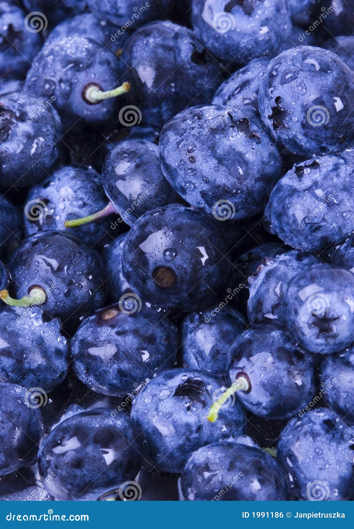 Fresh blueberries stock photo. Image of background, cold - 1991186