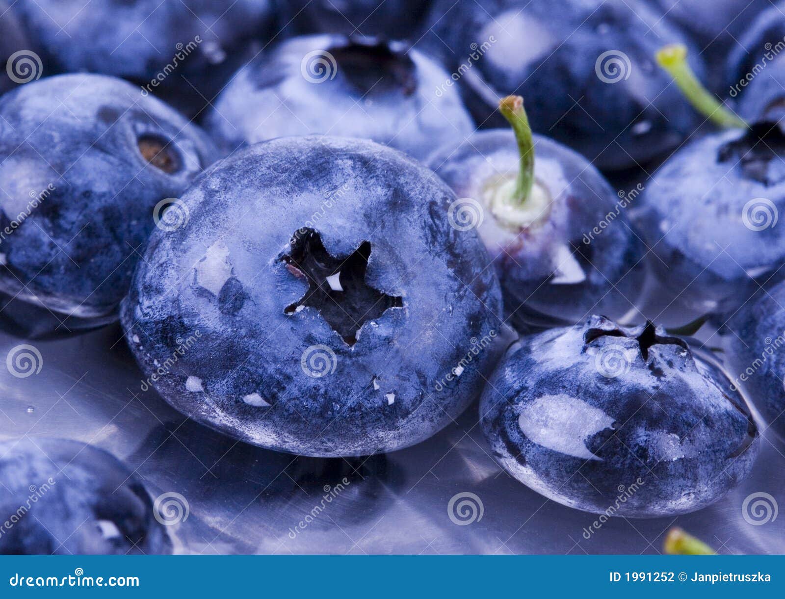 Fresh blueberries stock photo. Image of fiber, blueberries - 1991252