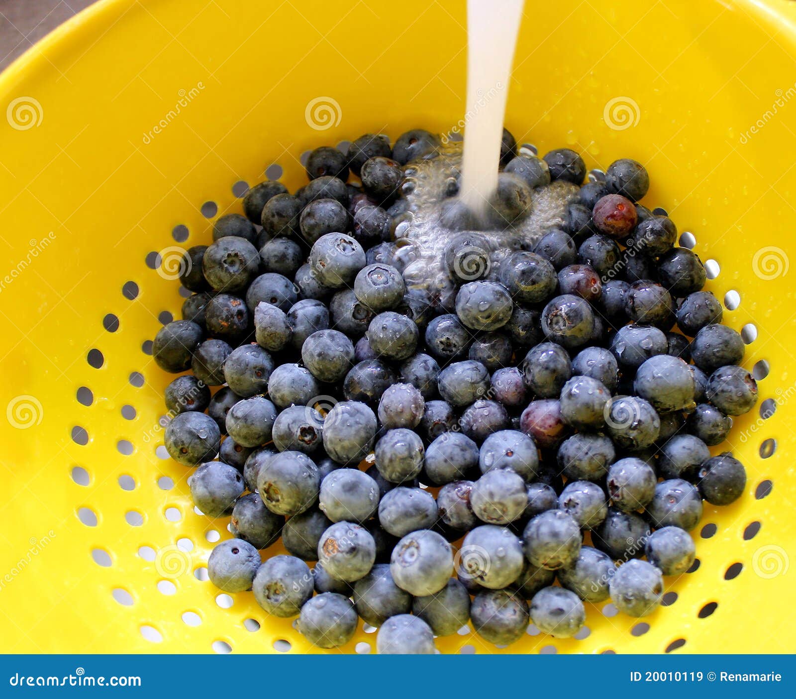 Fresh Blueberries stock image. Image of colander, nutritious - 20010119