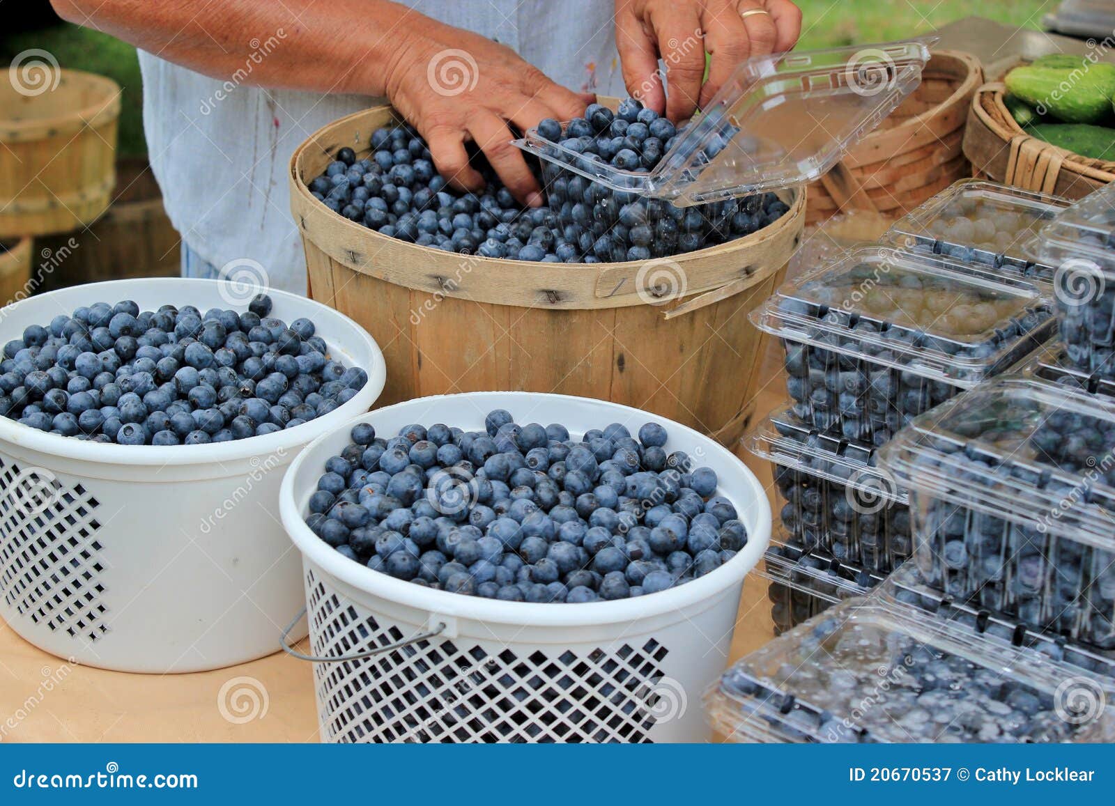 Fresh blueberries stock image. Image of berry, blue, produce - 20670537