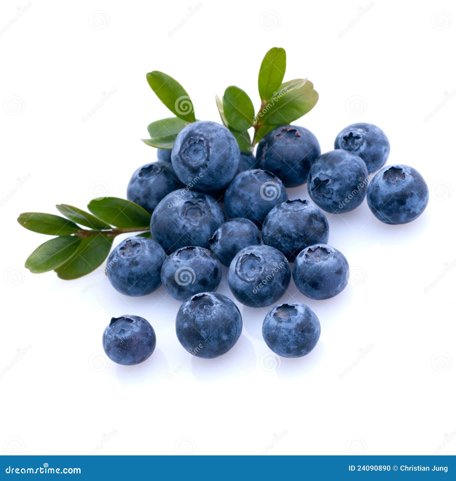 Fresh blueberries stock photo. Image of berries, organic - 24090890