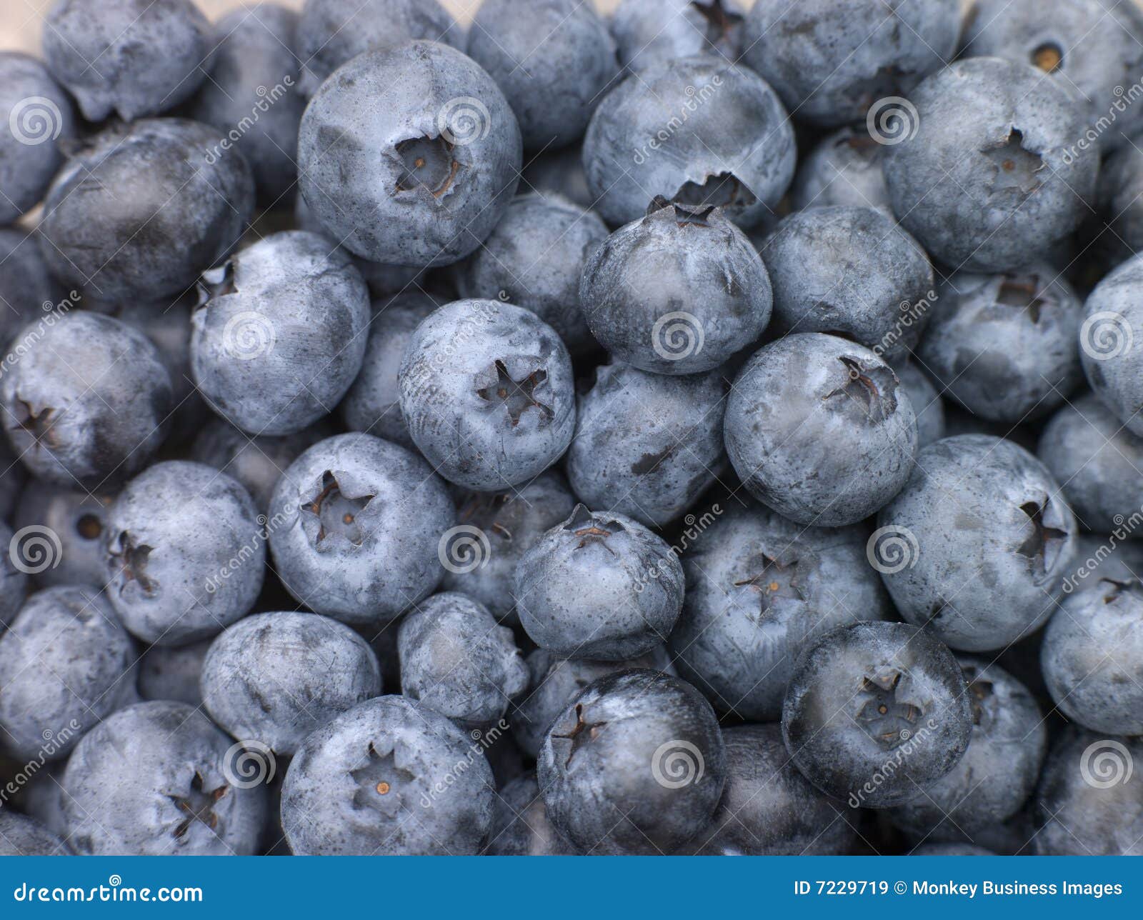 Fresh Blueberries stock image. Image of groceries, fruit - 7229719